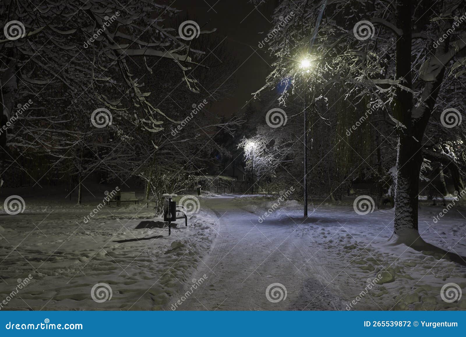 Pathway in dark park stock photo. Image of lantern, park - 265539872