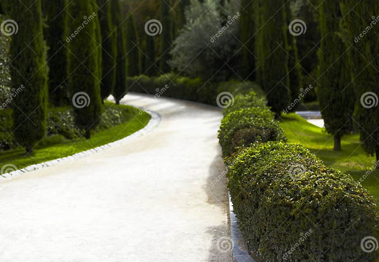 Pathway Detail in an Urban Park Stock Image - Image of nature, natural ...