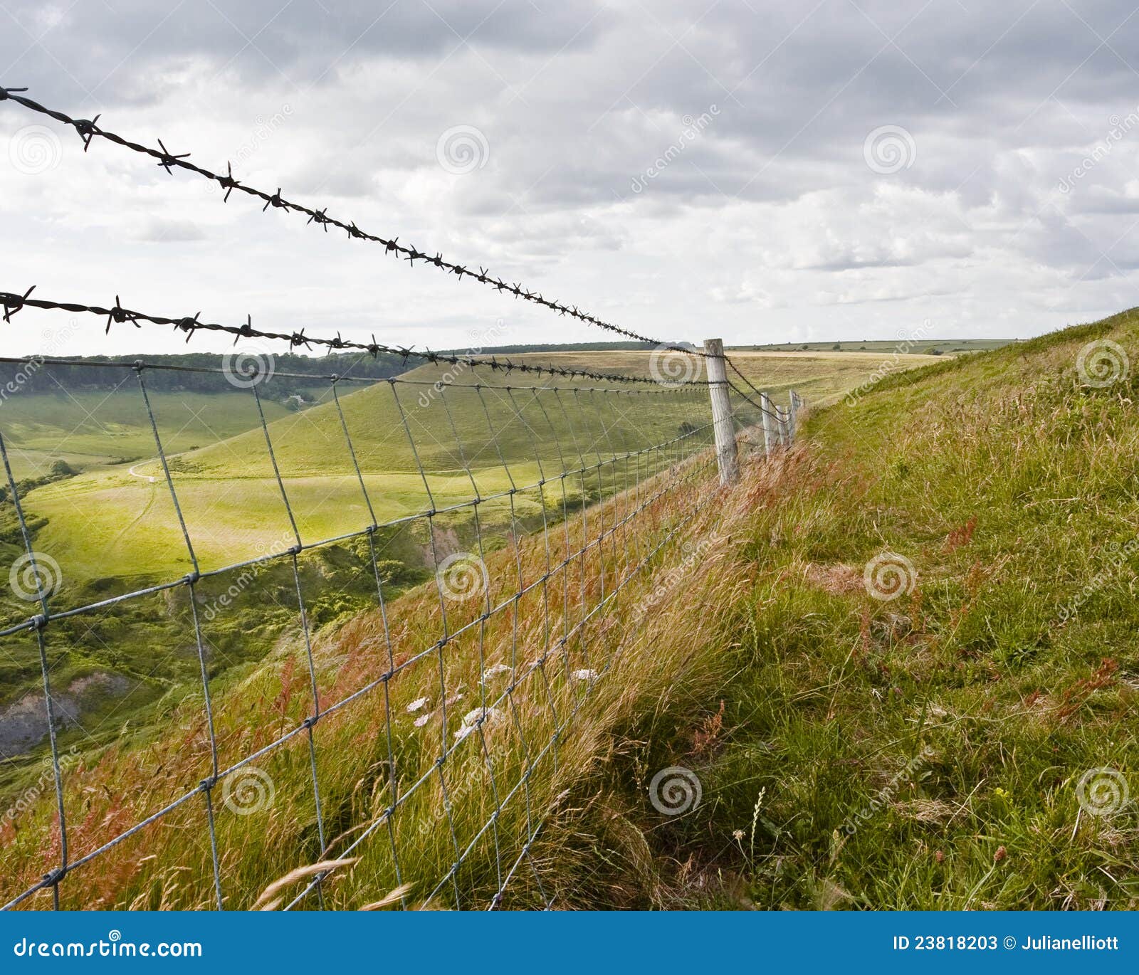 Pathway in Dorset stock image. Image of dorset, grass - 23818203