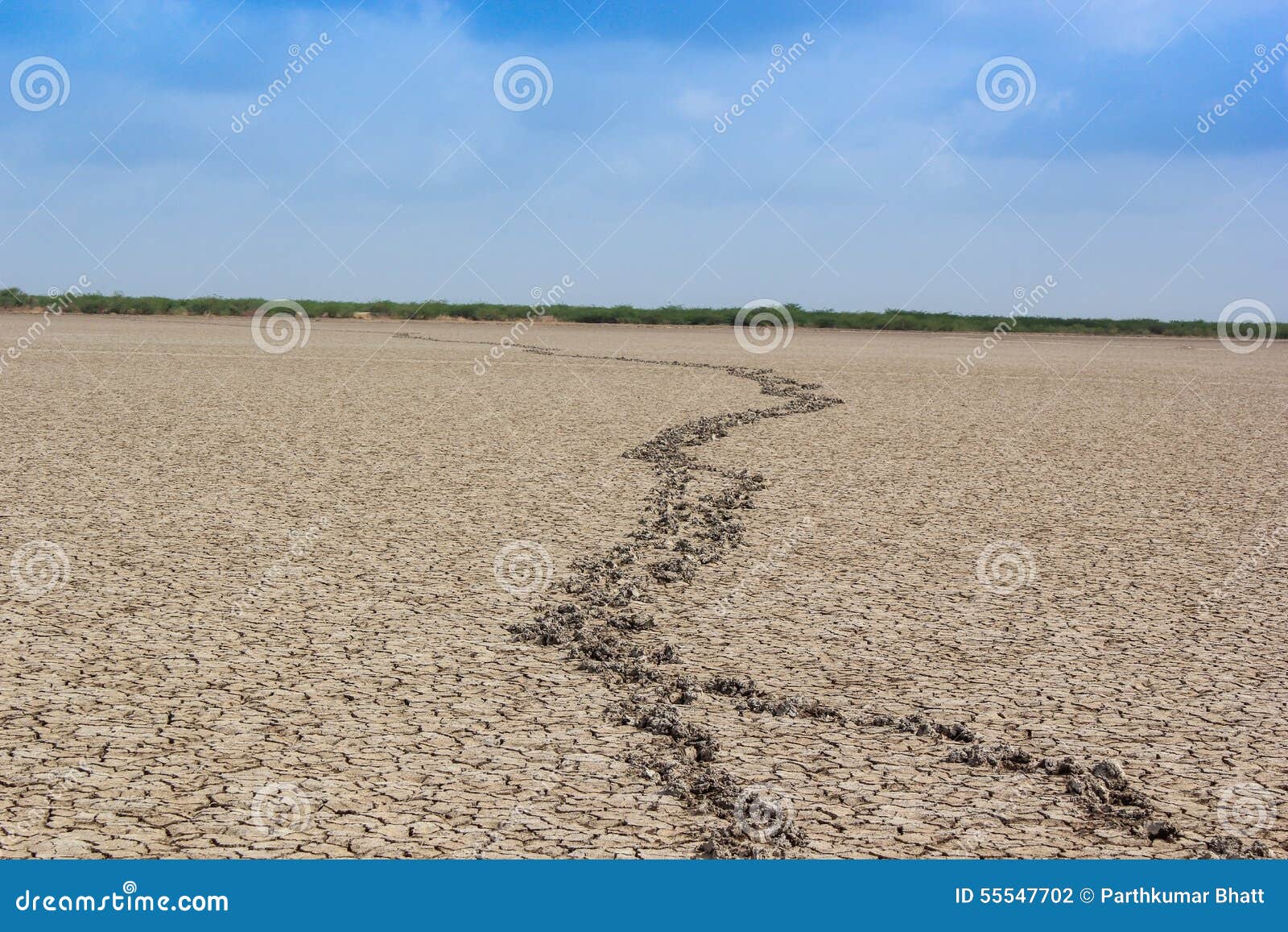 Pathway in Draught stock photo. Image of biosphere, biodiversity - 55547702
