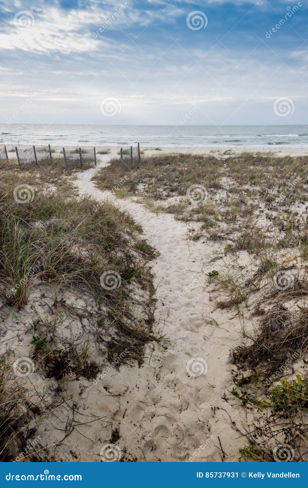 Pathway through the Dunes To the Ocean Stock Image - Image of florida ...