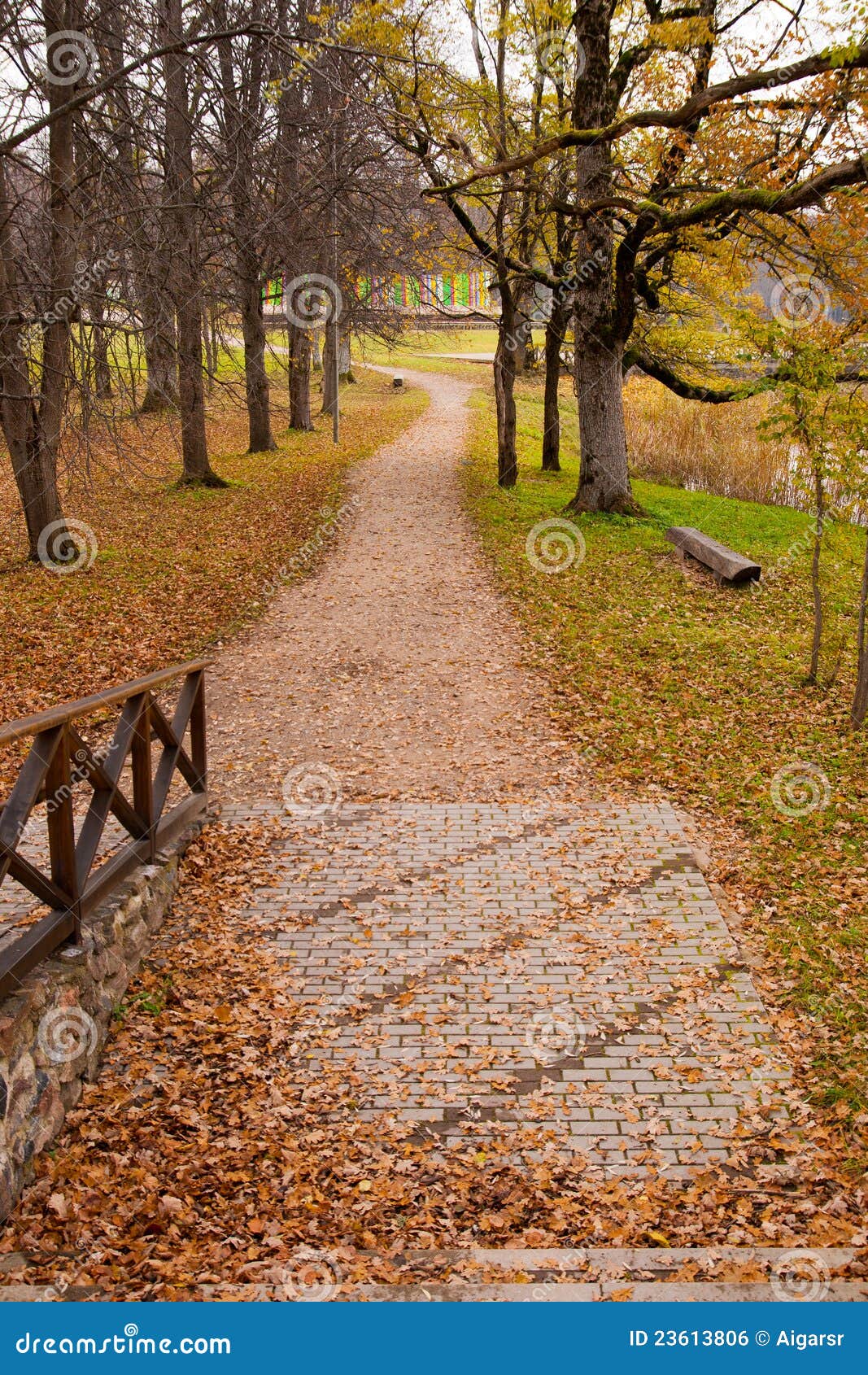 Pathway in the Fall stock photo. Image of country, october - 23613806