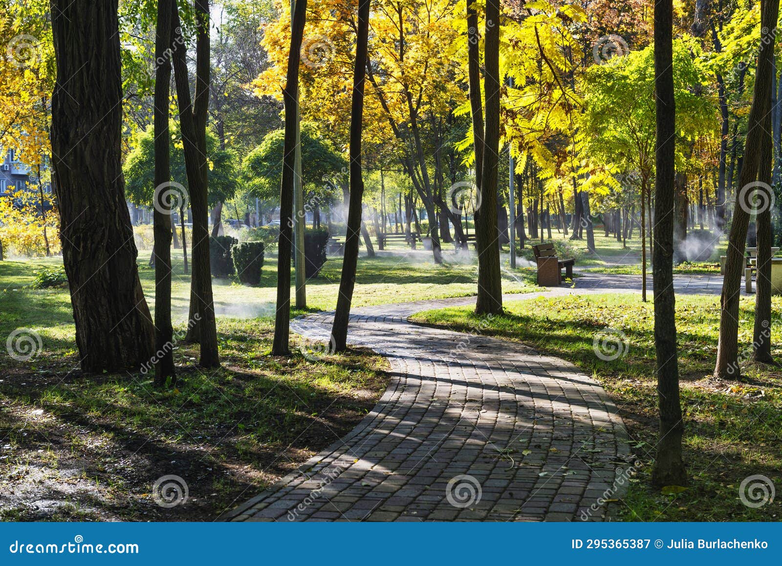 Pathway in the fall park stock image. Image of pathway - 295365387