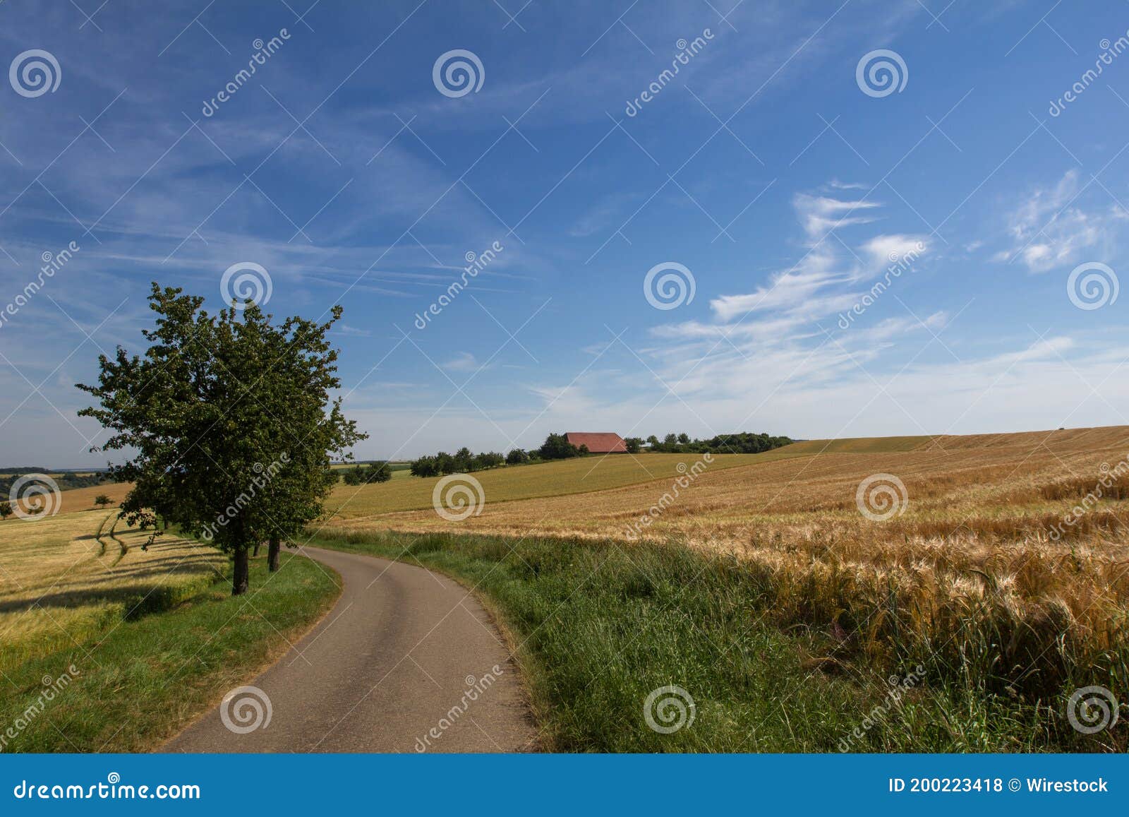 Pathway among the Farm on a Sunny Day Stock Photo - Image of plant ...
