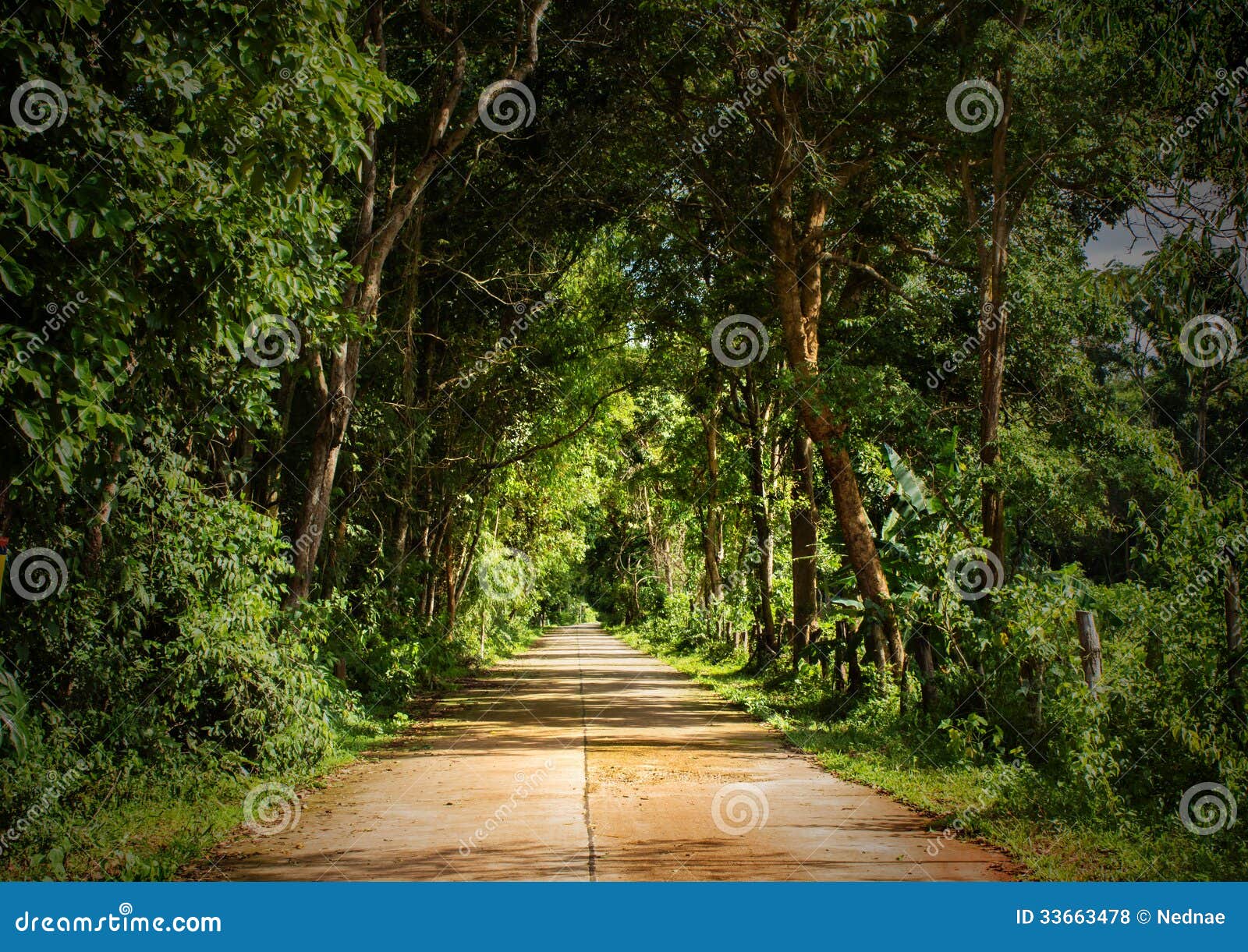 Pathway in the farm stock photo. Image of trail, recreation - 33663478