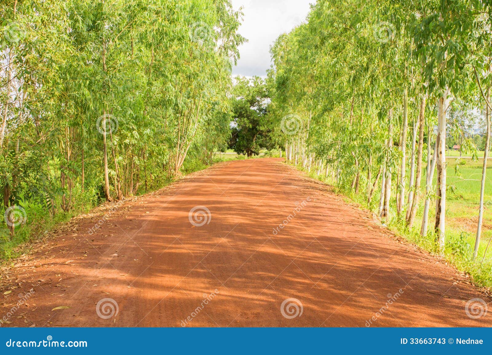 Pathway in the farm stock image. Image of sunny, long - 33663743