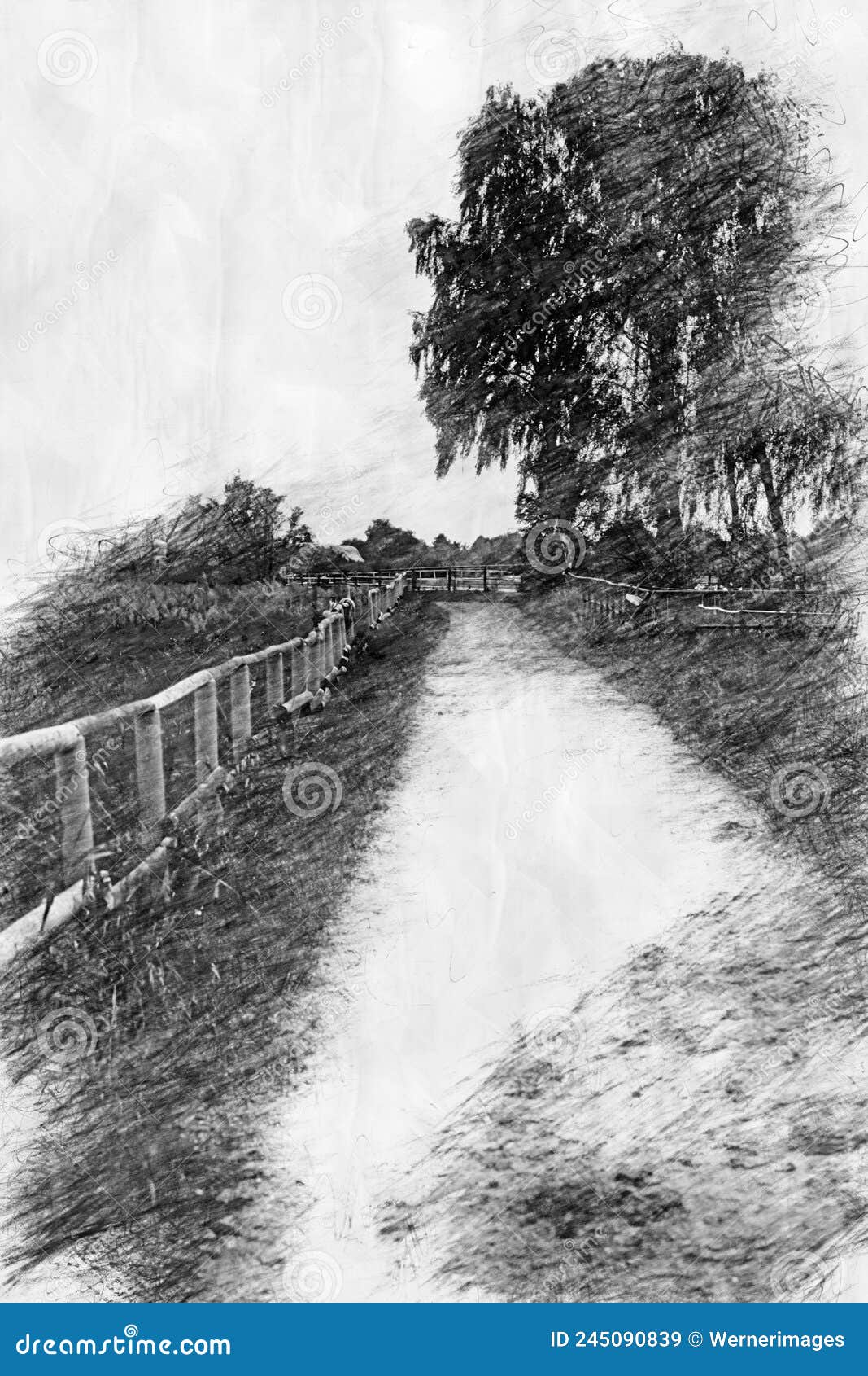 Pathway with Fence and Tree in Pencil Drawing Style Stock Image - Image ...