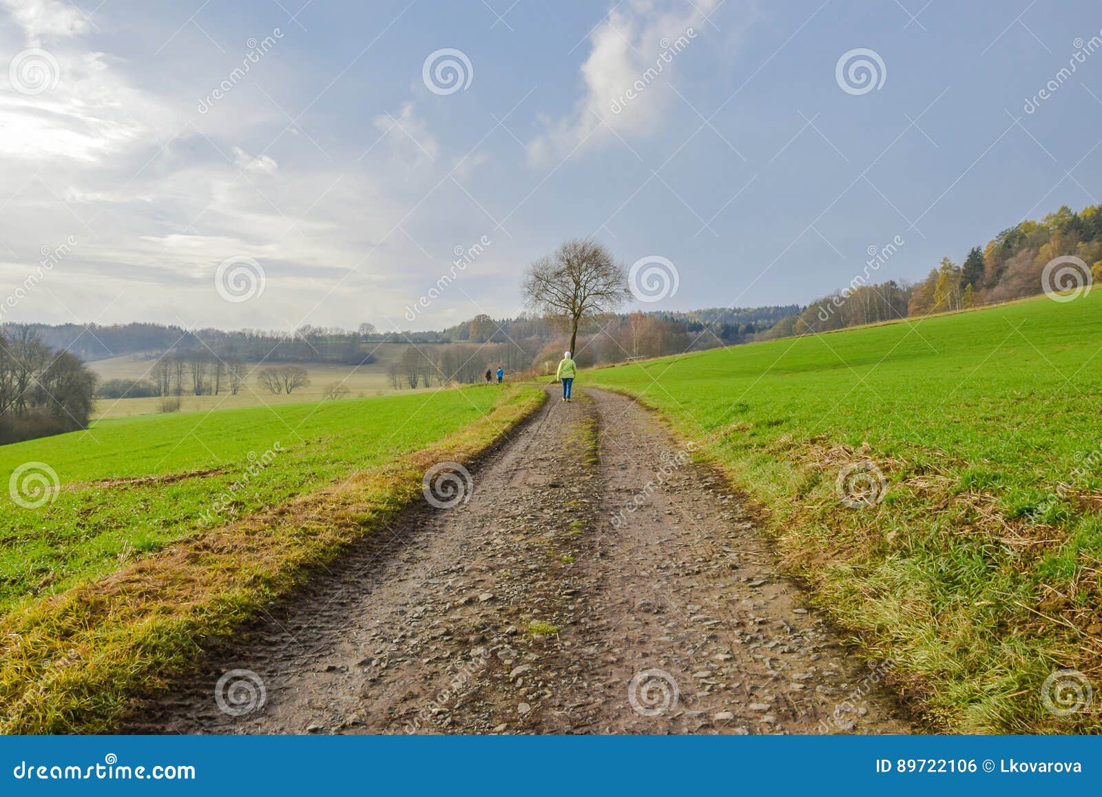 Pathway in a field stock photo. Image of natural, idyllic - 89722106