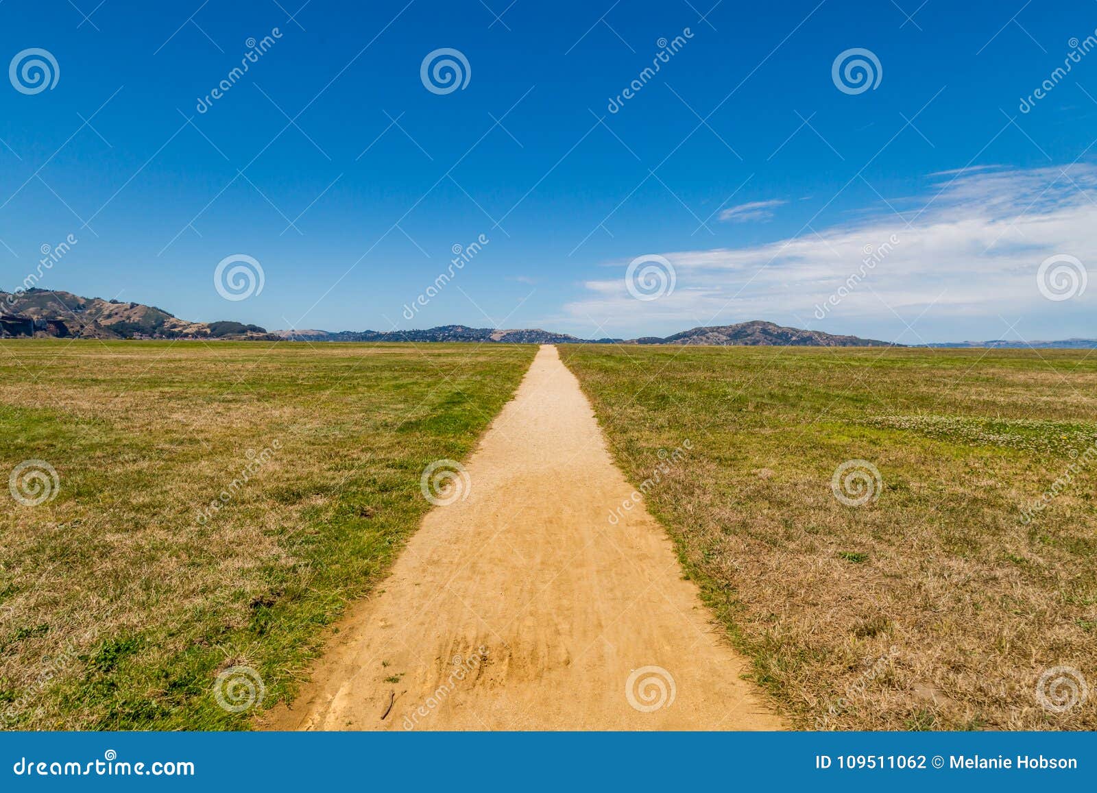 Pathway through Fields stock photo. Image of nature - 109511062