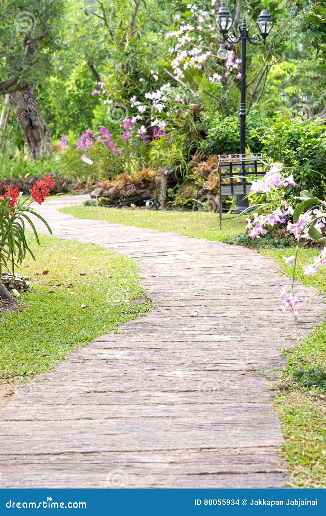 Pathway in flower garden stock photo. Image of landscaped - 80055934