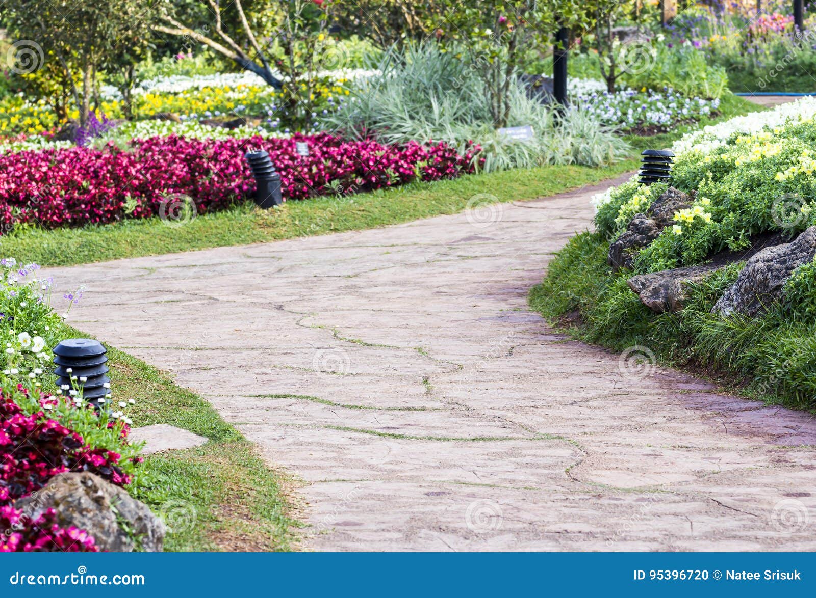 Pathway in the Flower Garden Stock Photo - Image of landscaping, light ...