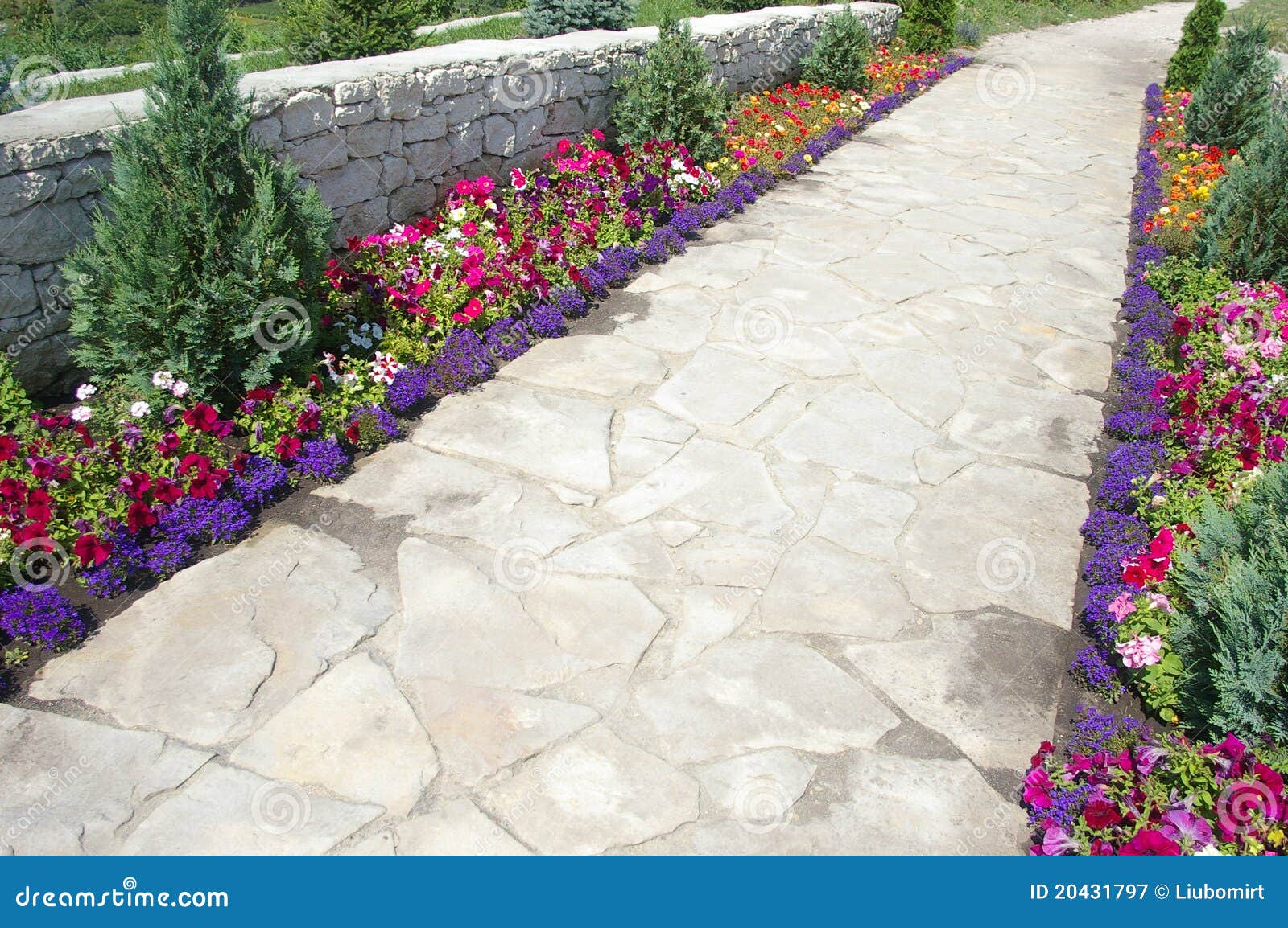 Pathway with flowers stock image. Image of plant, backyard - 20431797