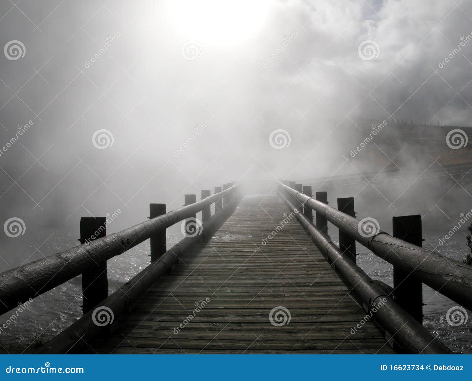 Pathway into fog stock photo. Image of nature, foggy - 16623734