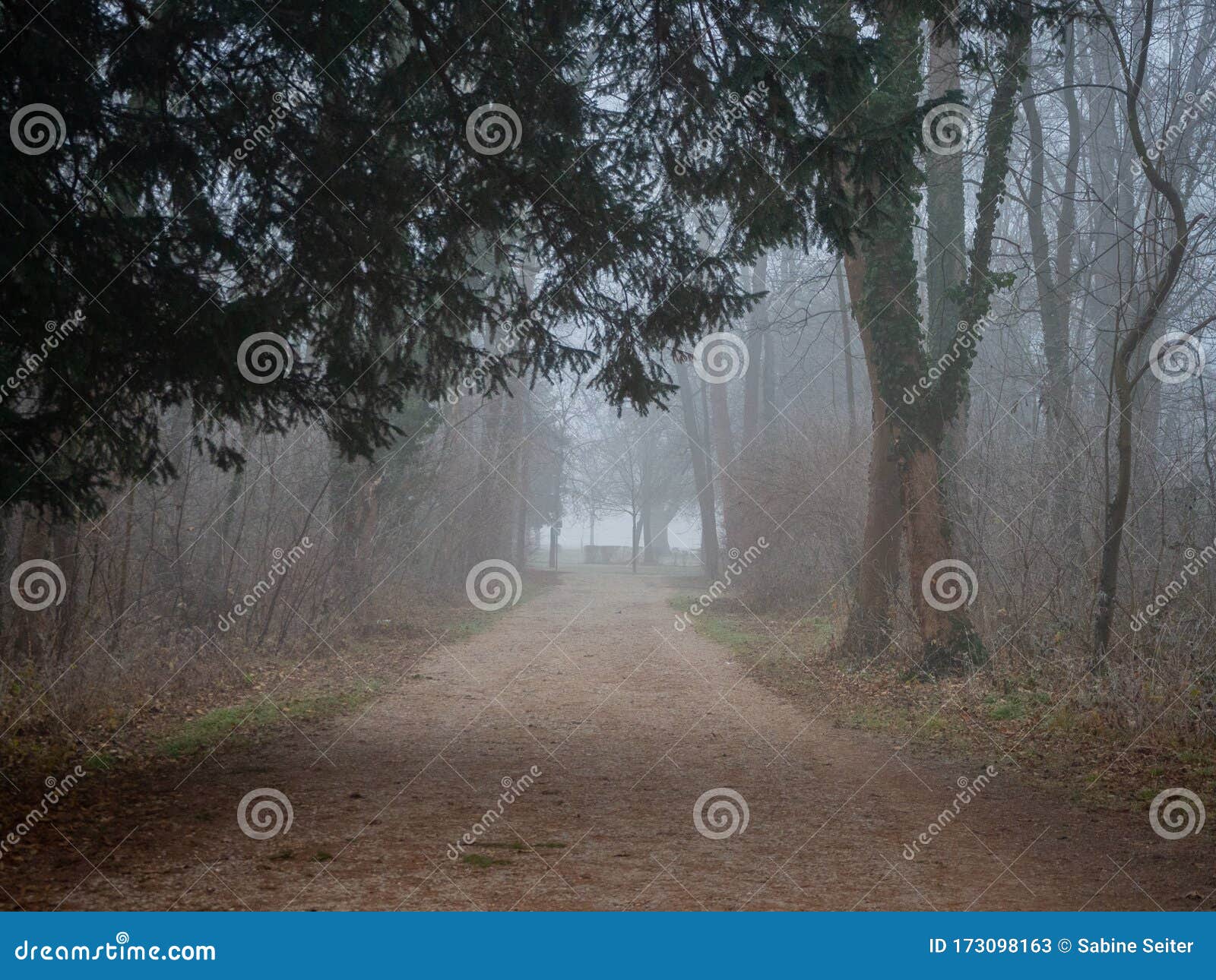 Pathway on a Foggy Day in Winter Stock Image - Image of fear, landscape ...