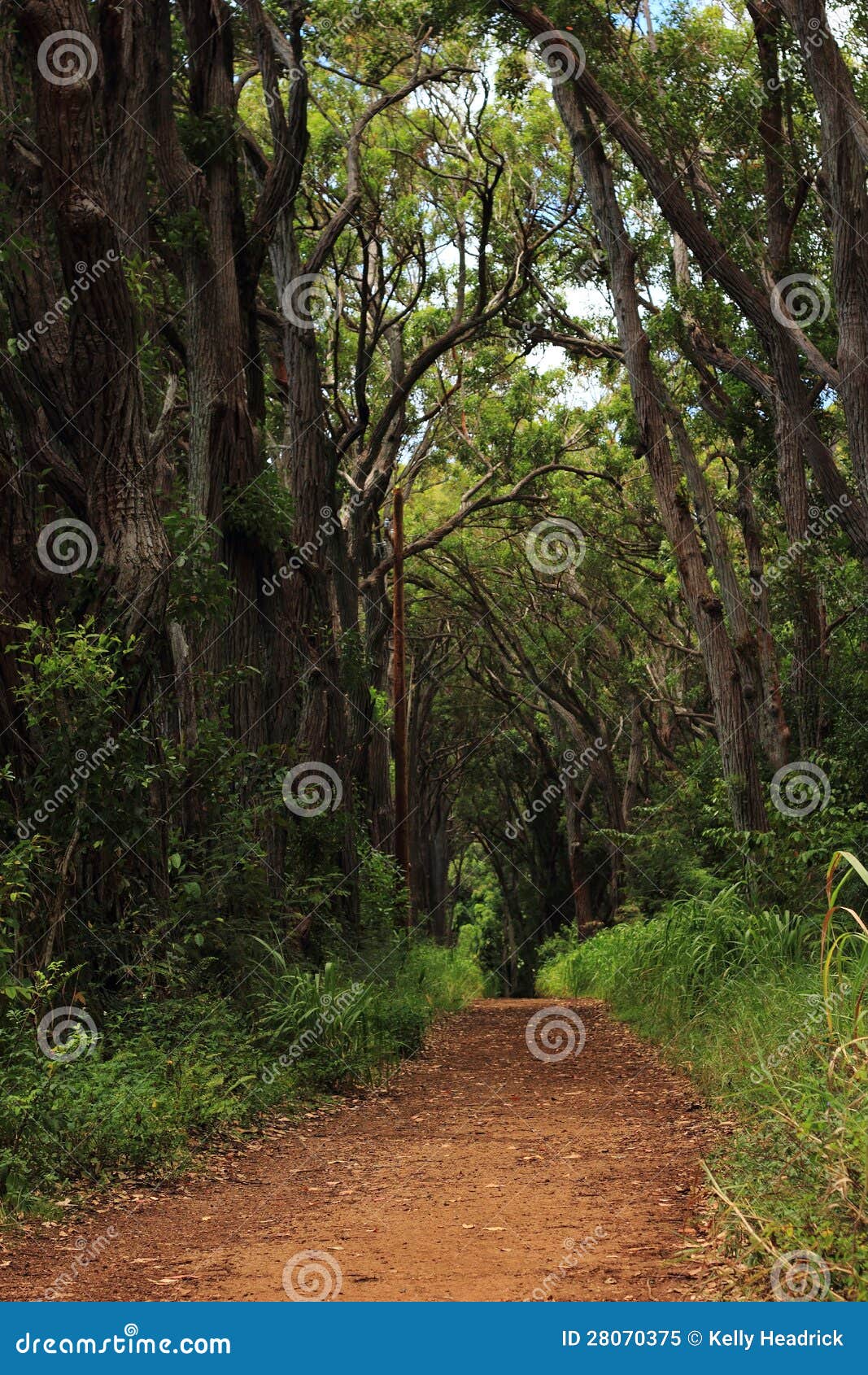 1,159 Overhead Arch Photos - Free & Royalty-Free Stock Photos from ...
