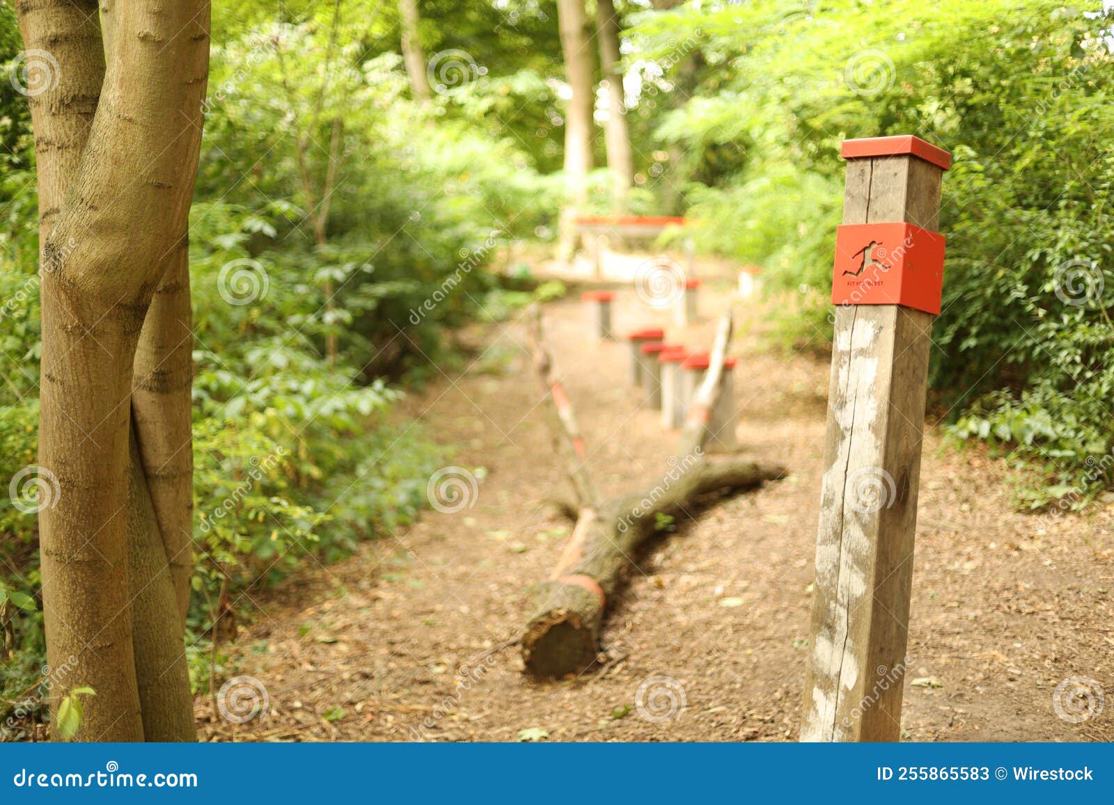 Pathway in a Forest with Small Red Wooden Columns. Stock Image - Image ...
