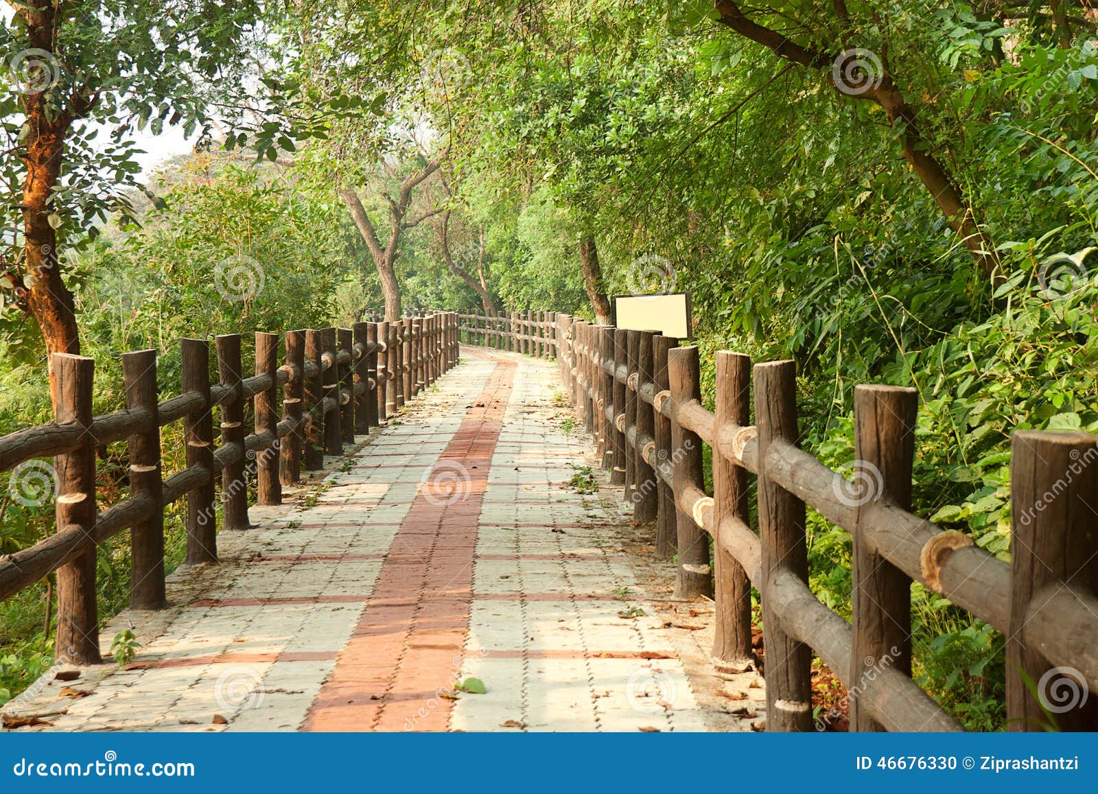 Pathway in Forest with Wooden Side Rails Stock Photo - Image of forest ...