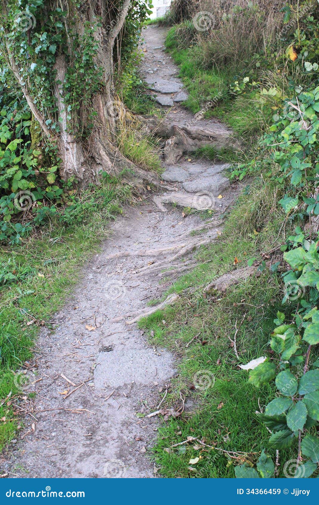 3,740 Pathway Forward Stock Photos - Free & Royalty-Free Stock Photos ...