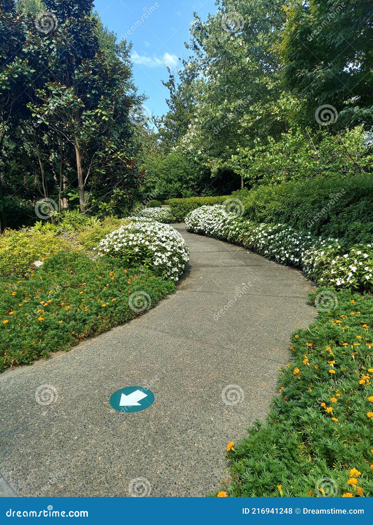 Winding path stock photo. Image of branch, water, path - 216941248
