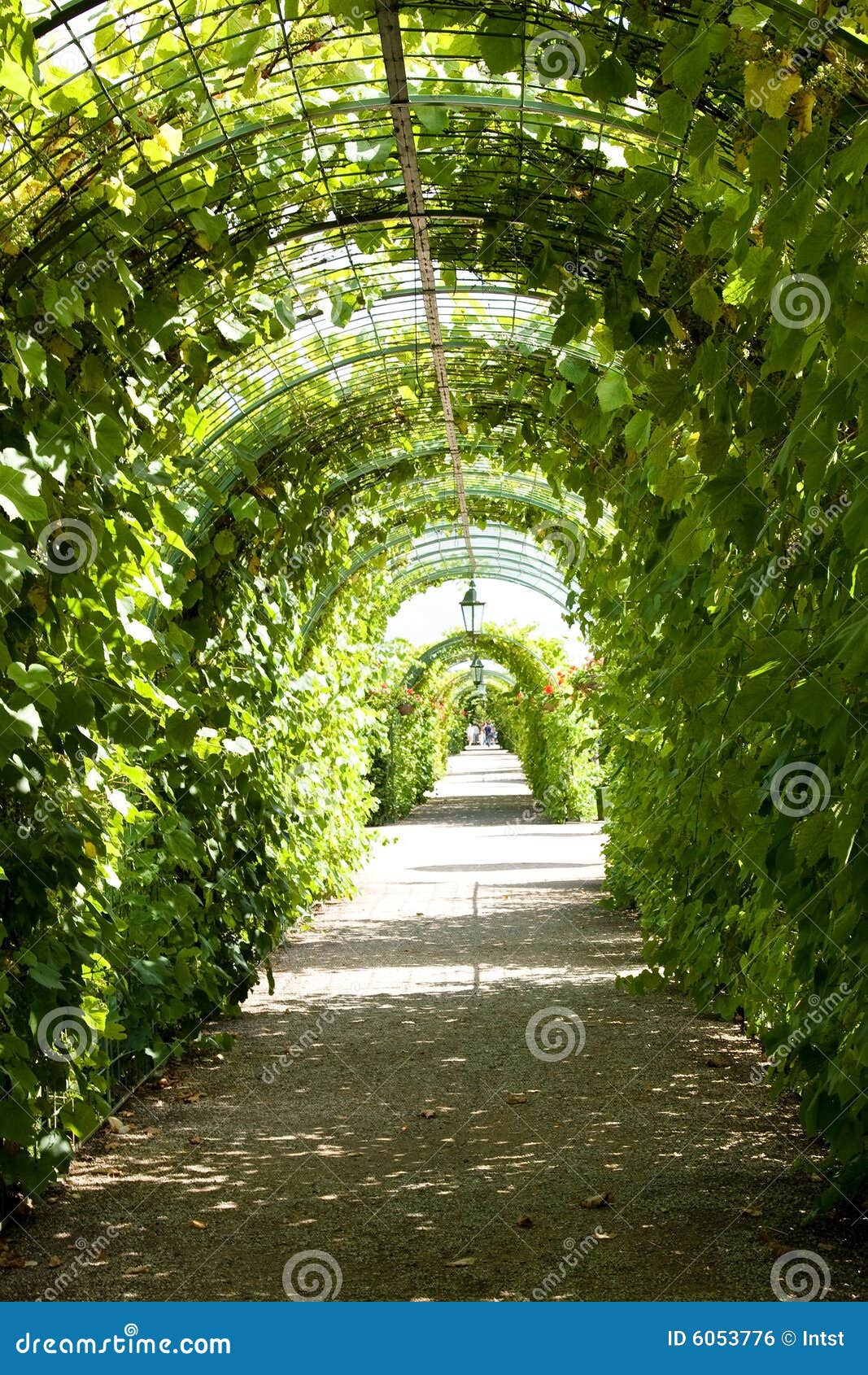 Pathway in garden stock photo. Image of ornament, environment - 6053776