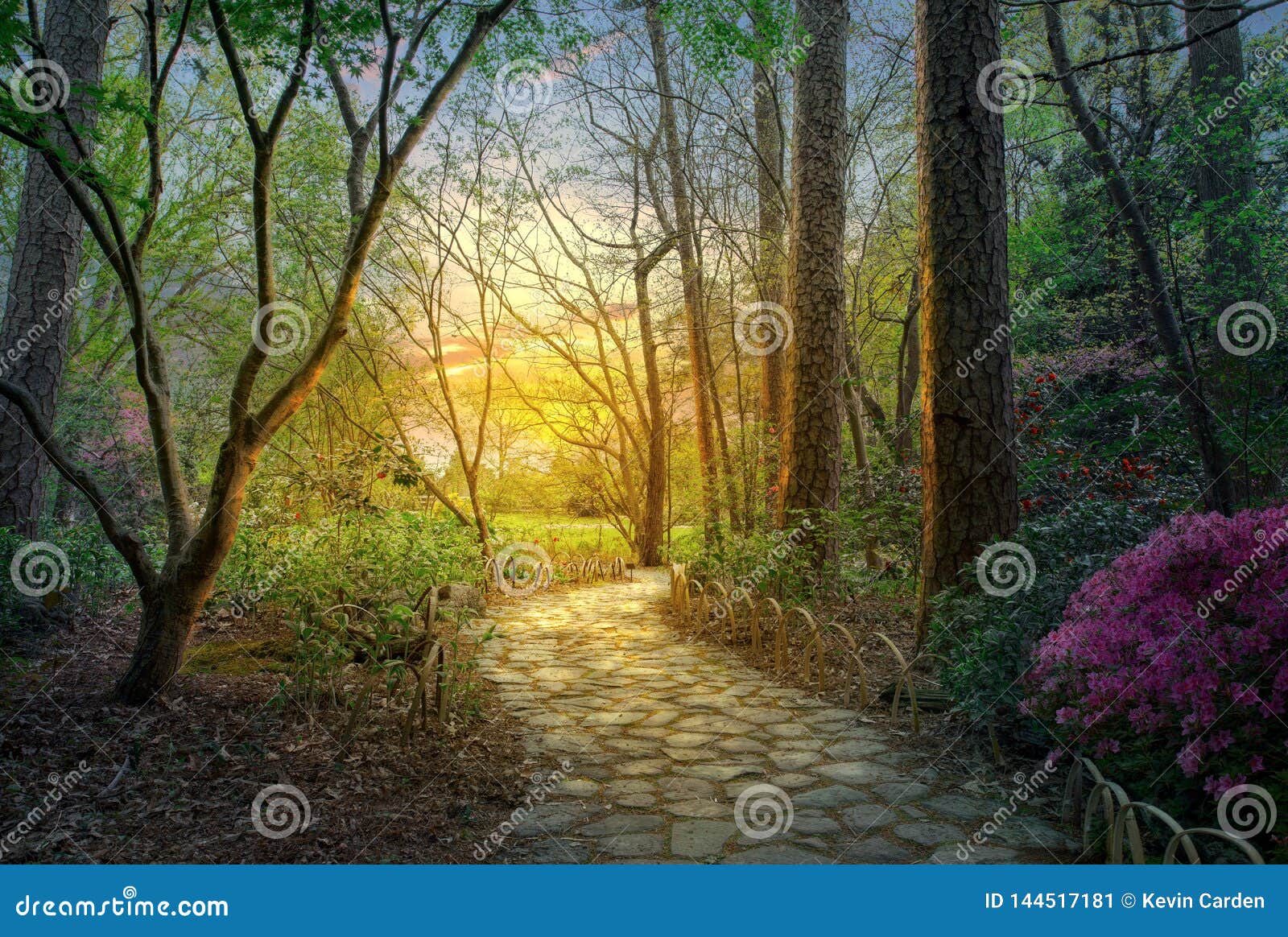 Pathway through the garden stock image. Image of dusk - 144517181