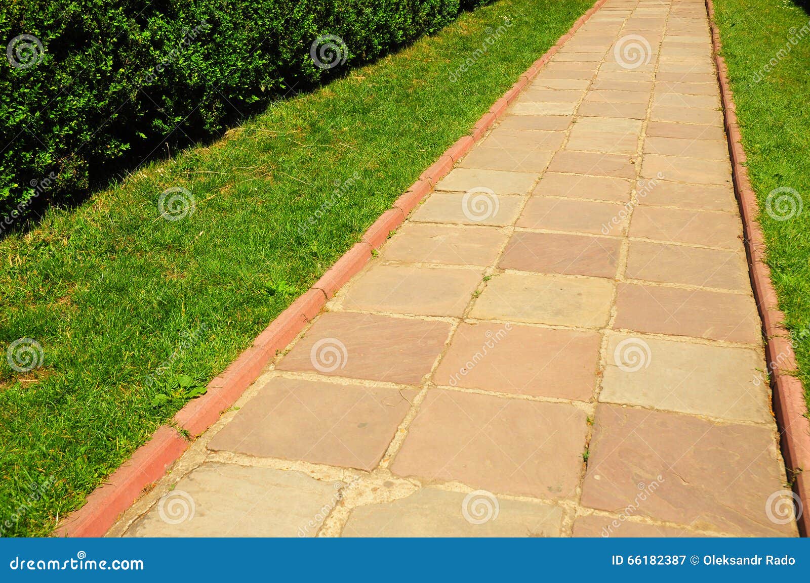 Pathway in Garden with Concrete Bumps. Stock Image - Image of beautiful ...