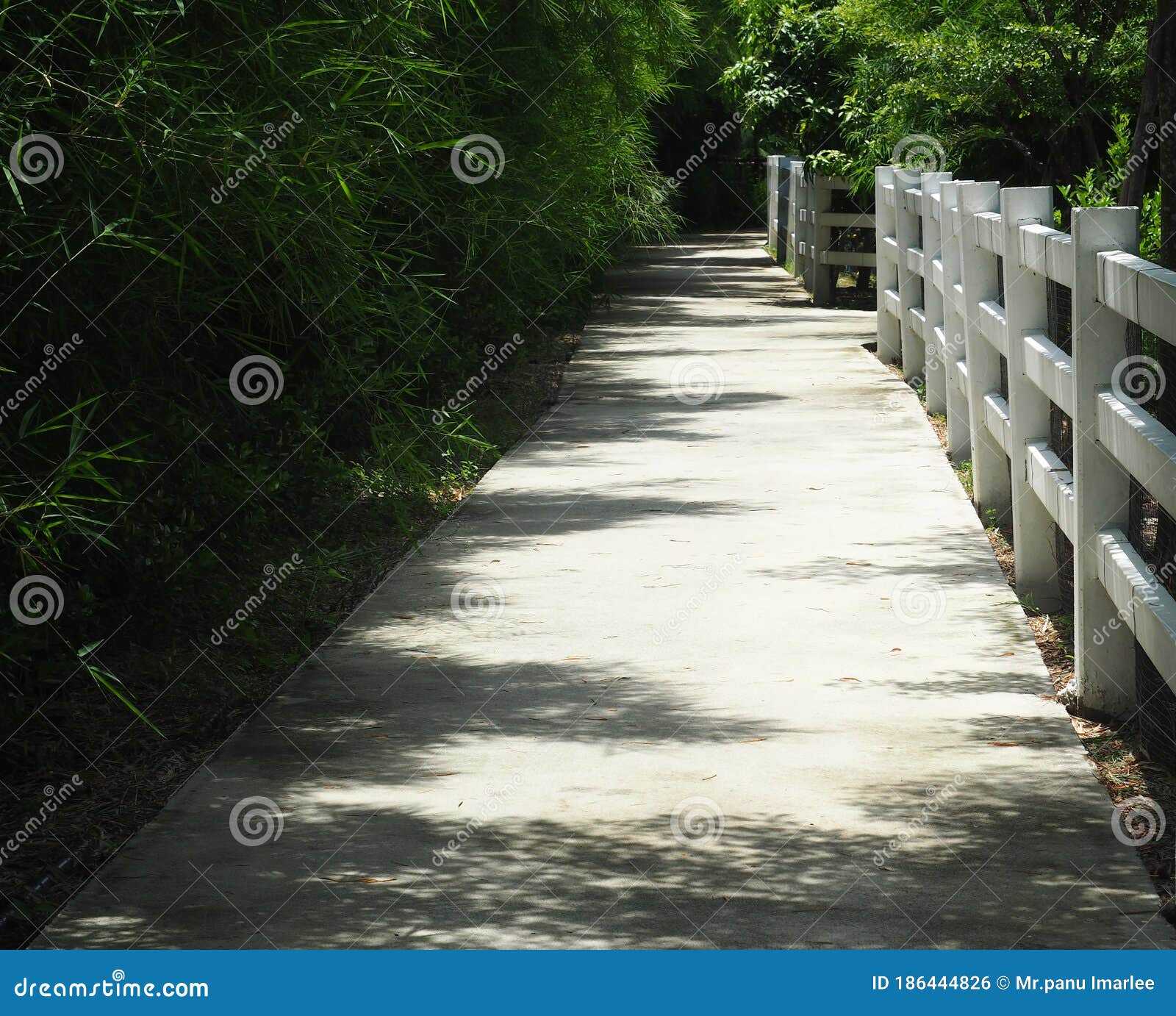 Pathway In Garden Royalty-Free Stock Photography | CartoonDealer.com ...