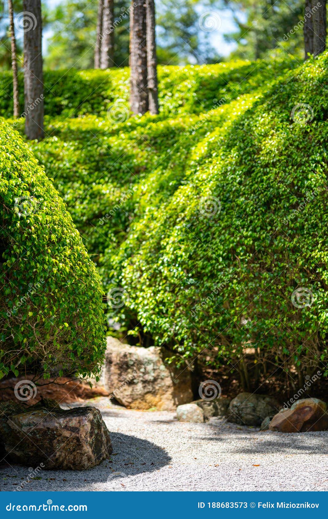 Pathway through a Garden Nature Scene Stock Image - Image of nature ...