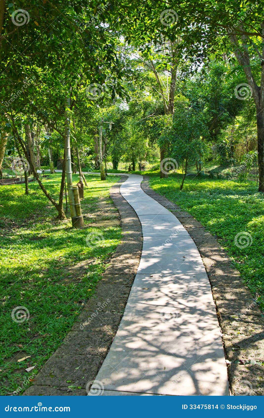 Pathway in garden stock photo. Image of flower, colour - 33475814