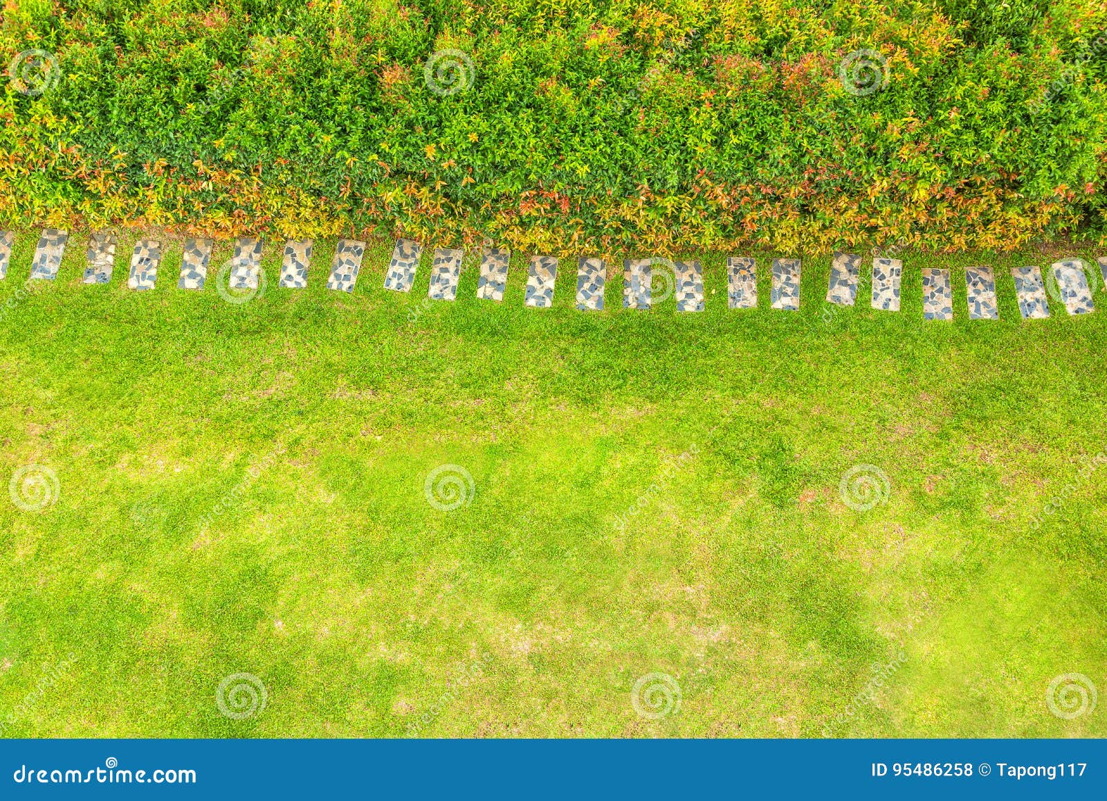 Pathway in garden stock photo. Image of house, grass - 95486258