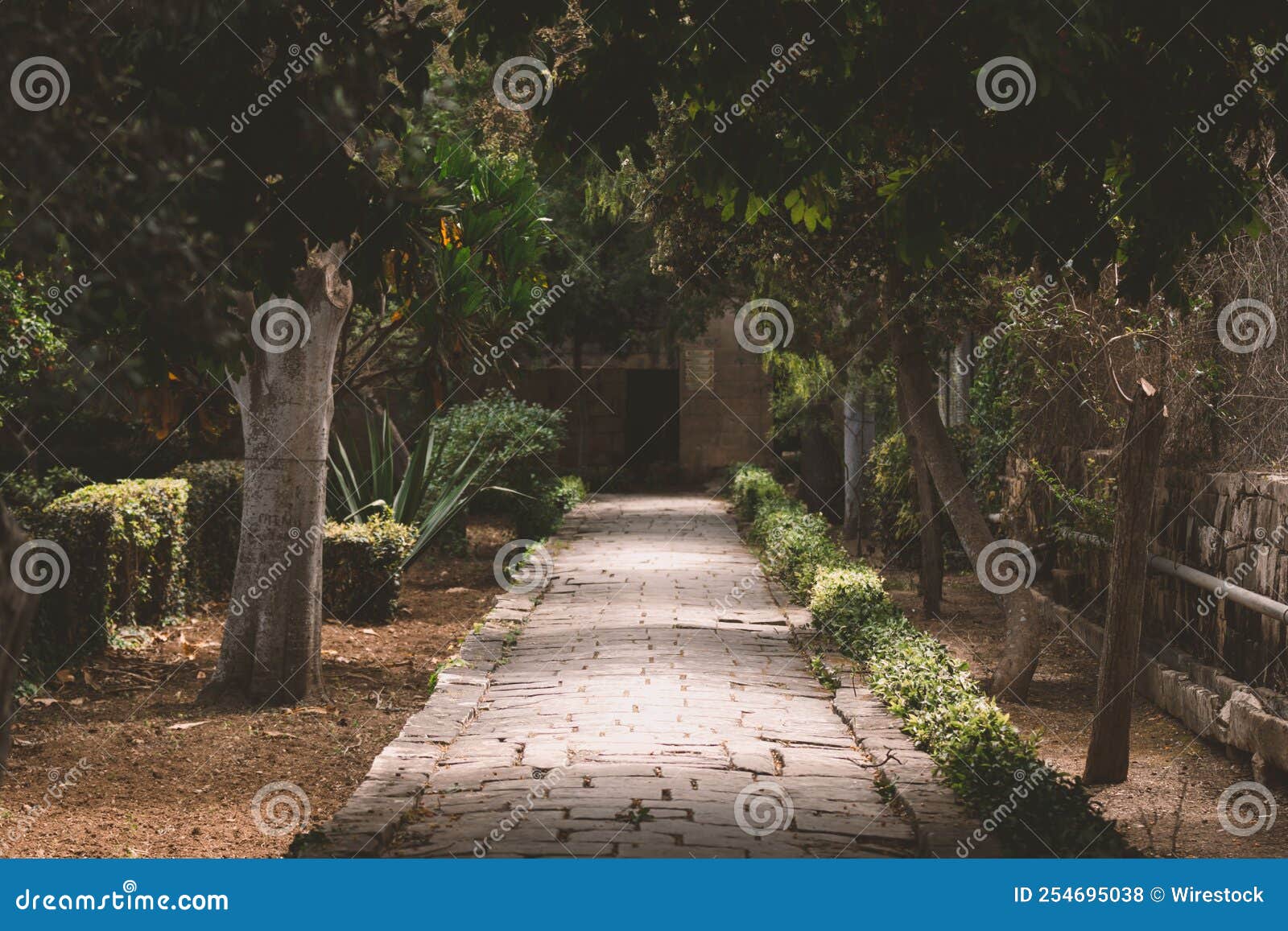Pathway in the Garden with Trees Around Stock Photo - Image of ...
