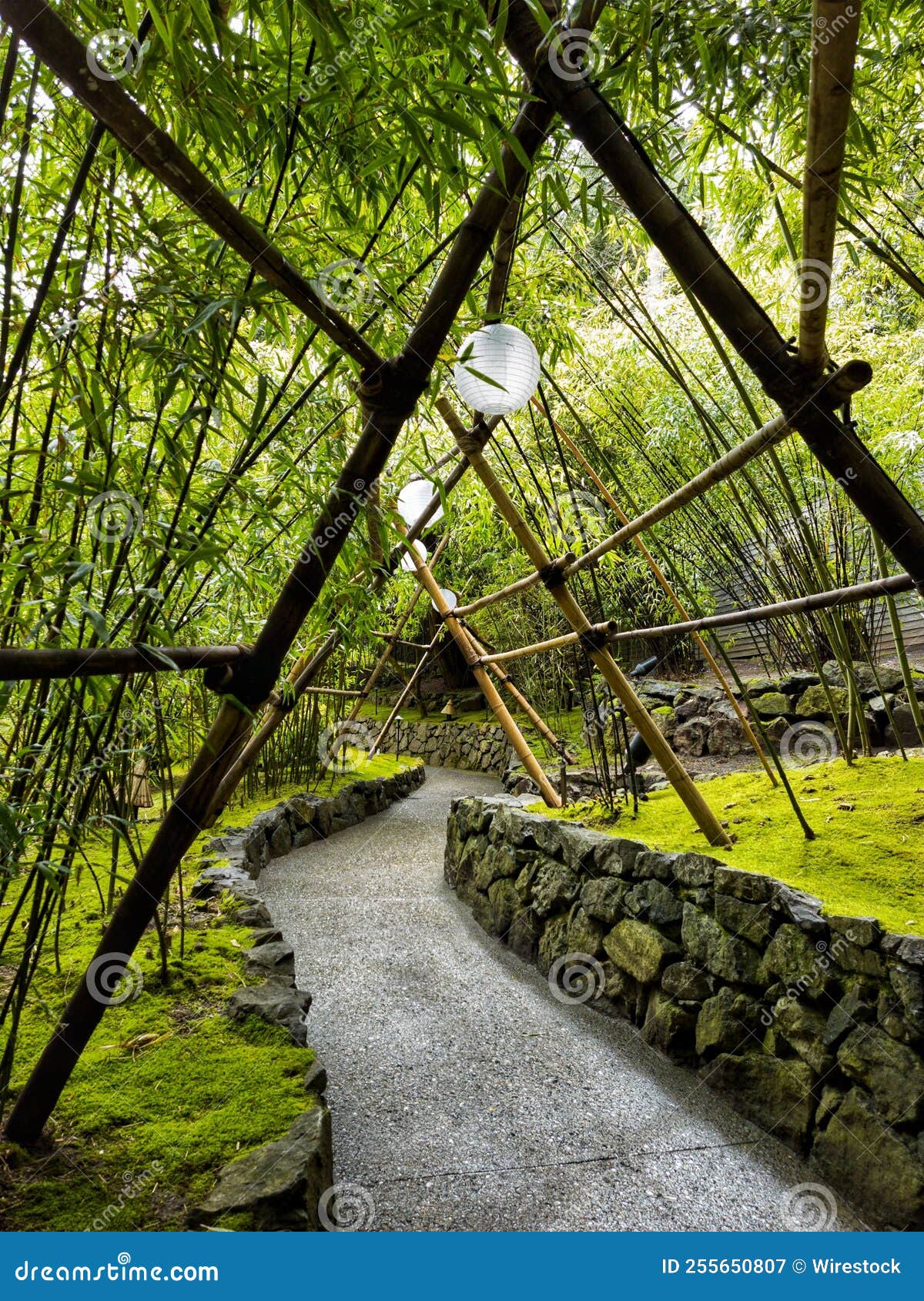 Pathway in the Garden with with Trees on the Side Stock Image - Image ...