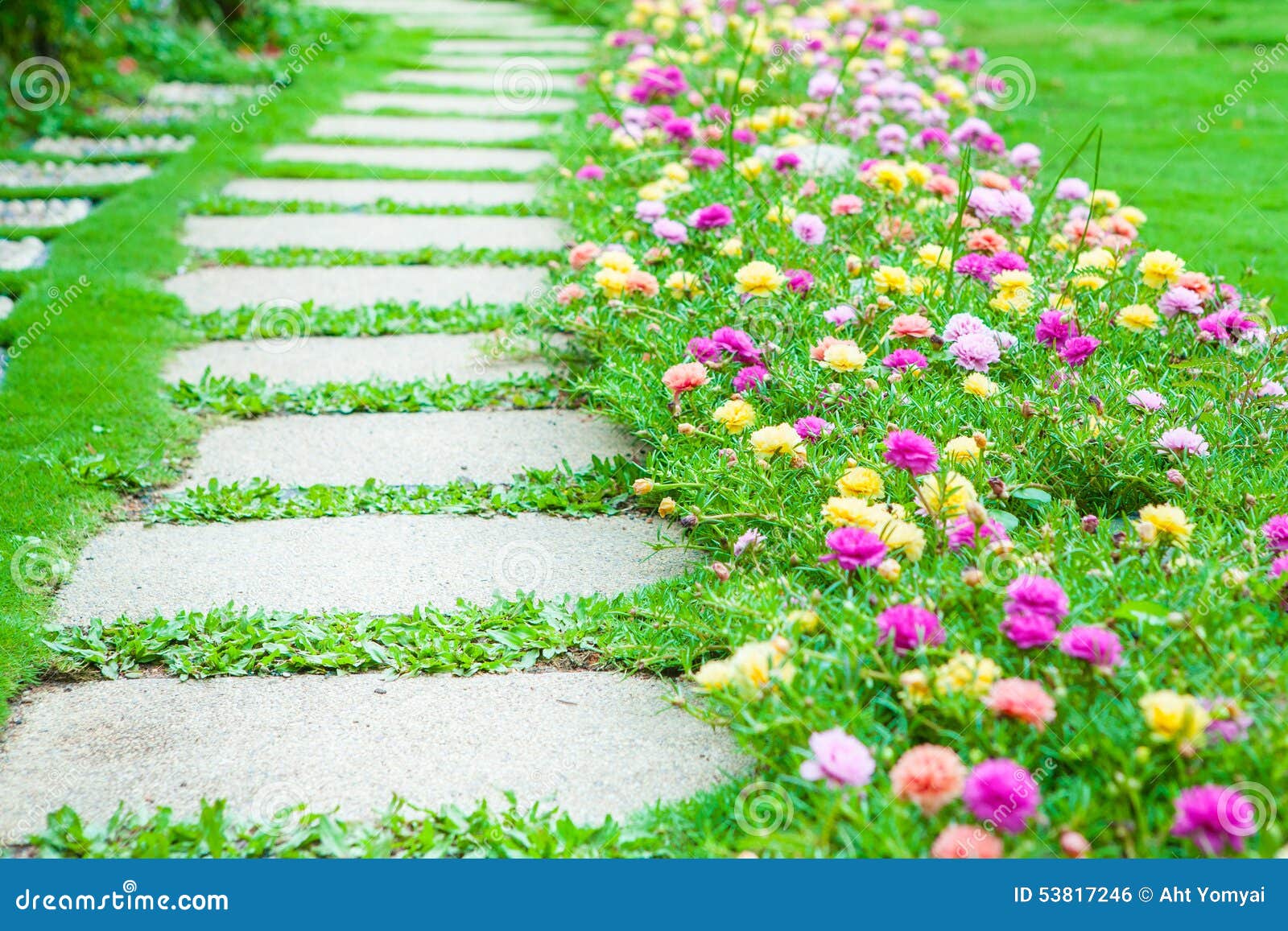 Pathway with Gardening Blooms Stock Photo - Image of flower, footpath ...