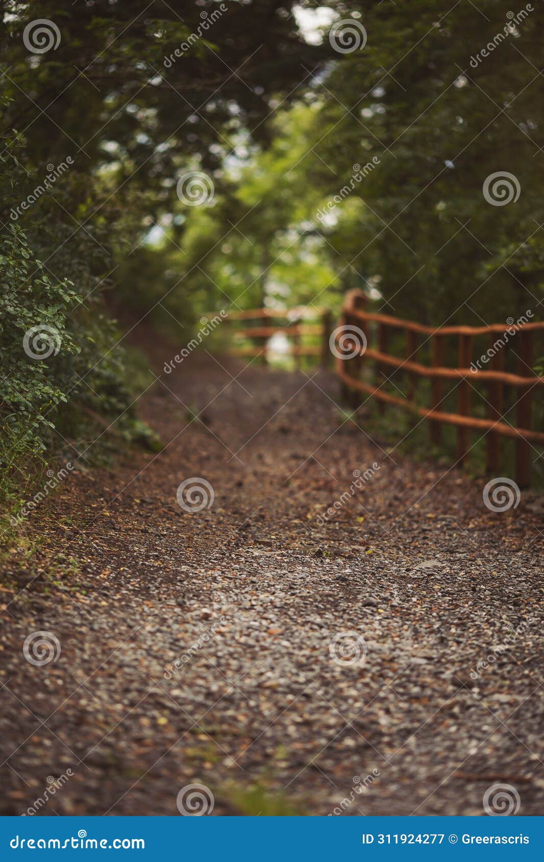 A Pathway Going through an Outdoor Forest Area. Background Image of ...