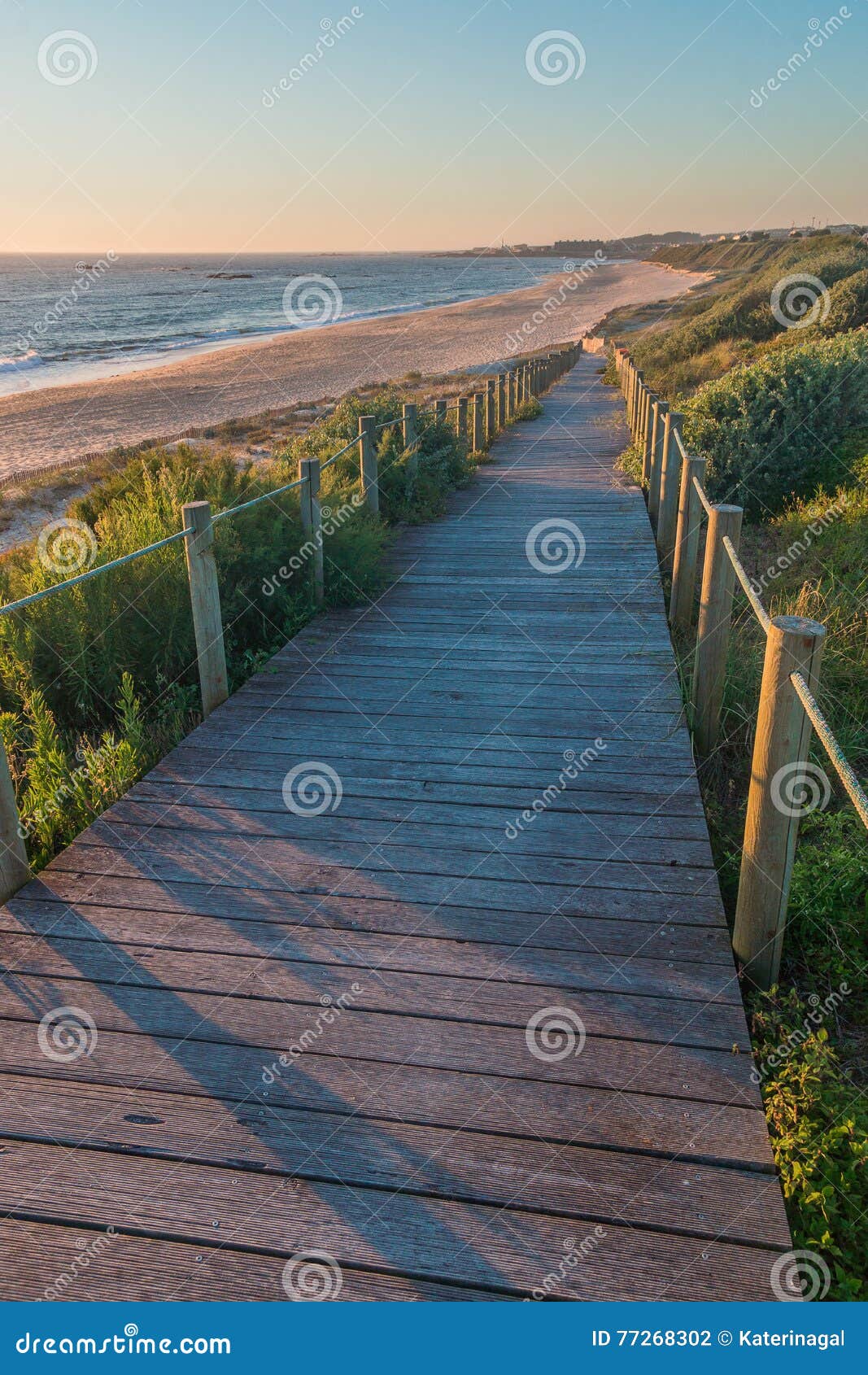 Pathway stock photo. Image of coastline, plant, rest - 77268302