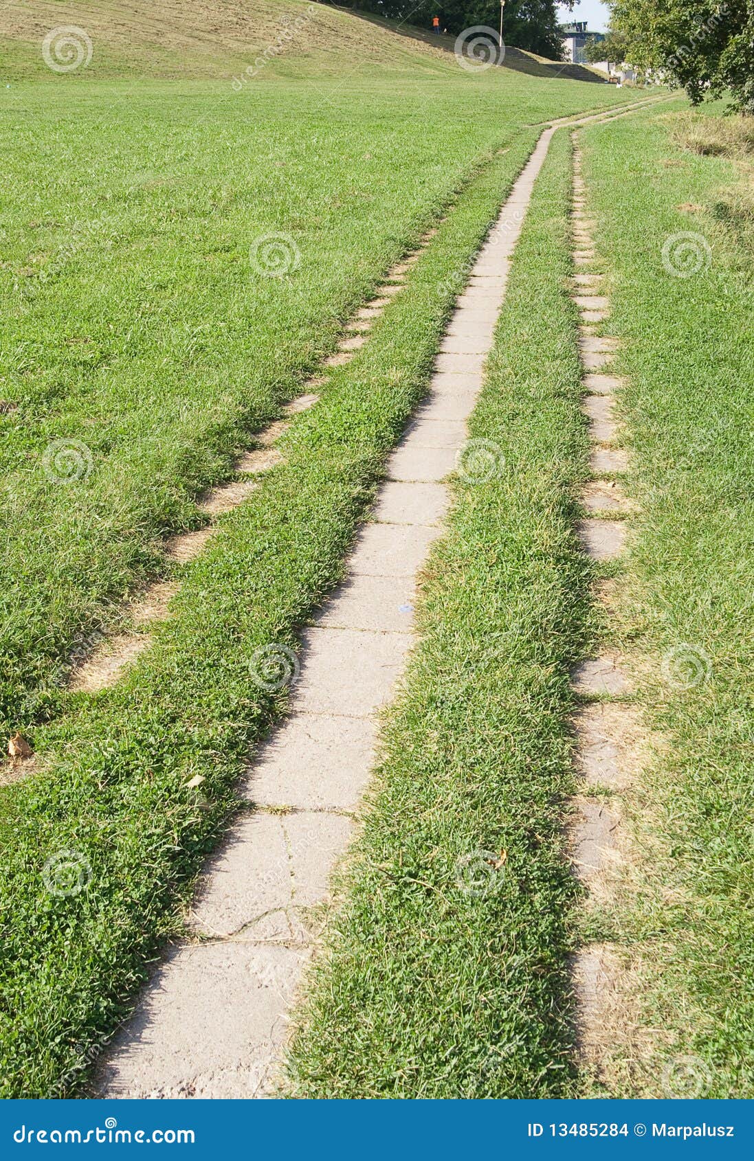Pathway through the grass stock photo. Image of park - 13485284