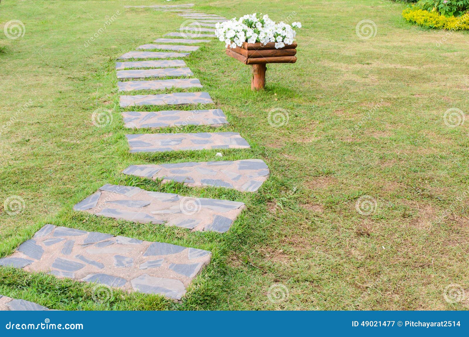 Pathway Stock Photo - Image: 49021477