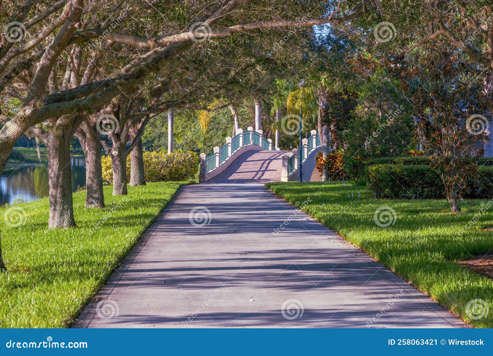 Pathway with Grass and Trees Growing on the Side Stock Image - Image of ...