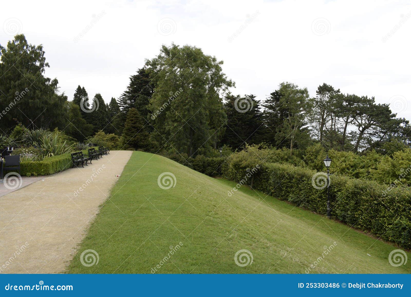 Pathway on Grassy Slope with Green Surroundings Stock Photo - Image of ...