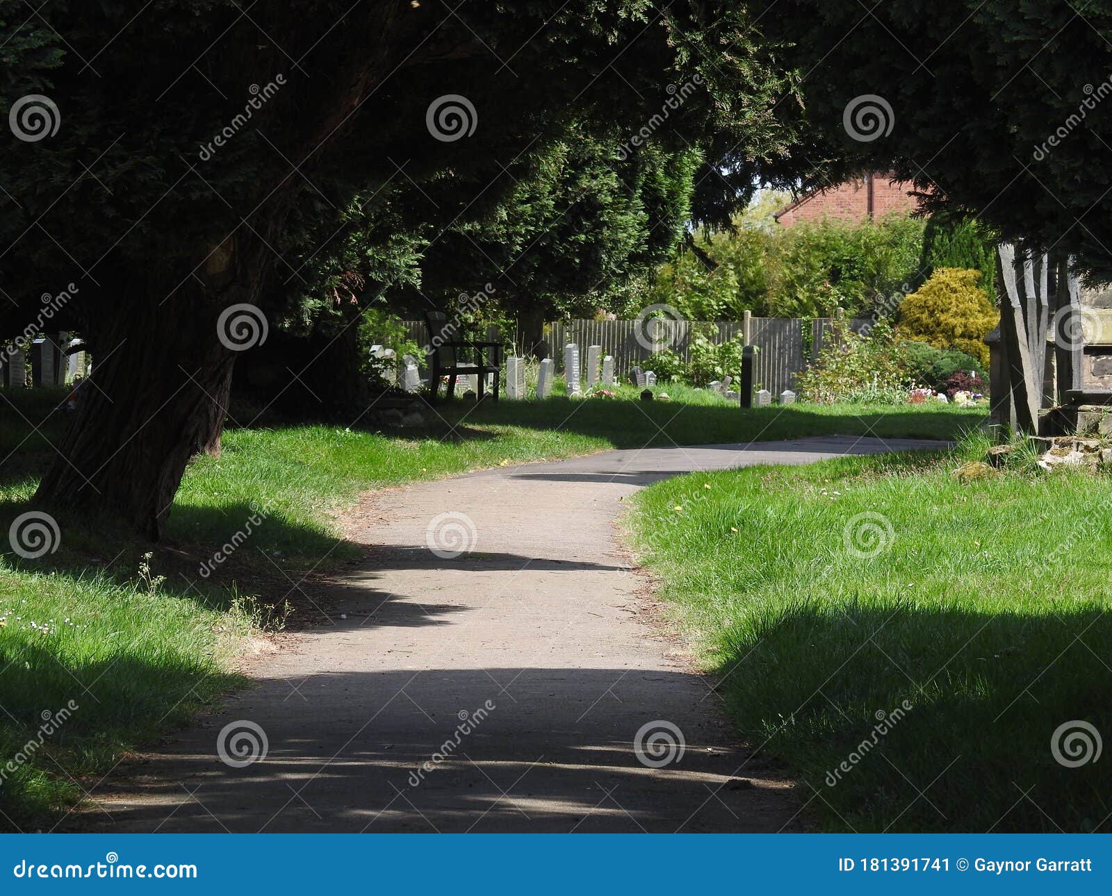 Pathway through a Grave Yard Stock Image - Image of hidden, grave ...
