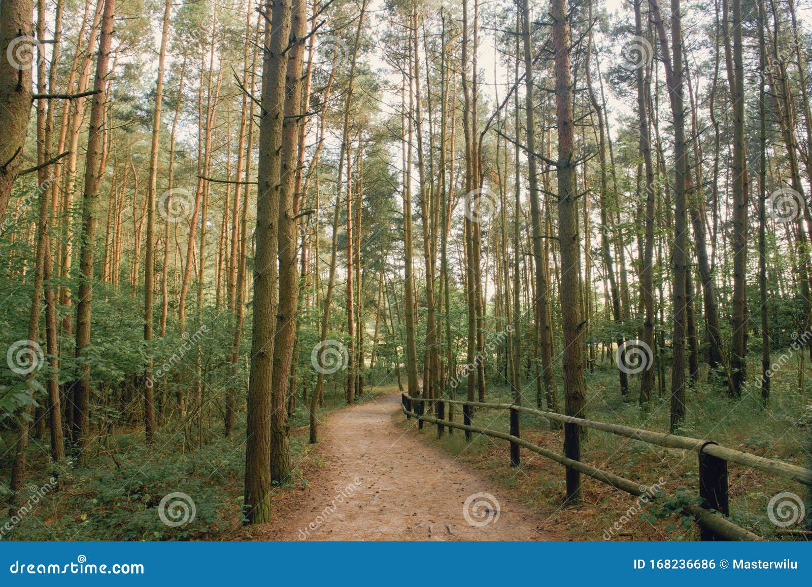 Pathway in Green Forest during Spring Time. Blurred People Walking in ...