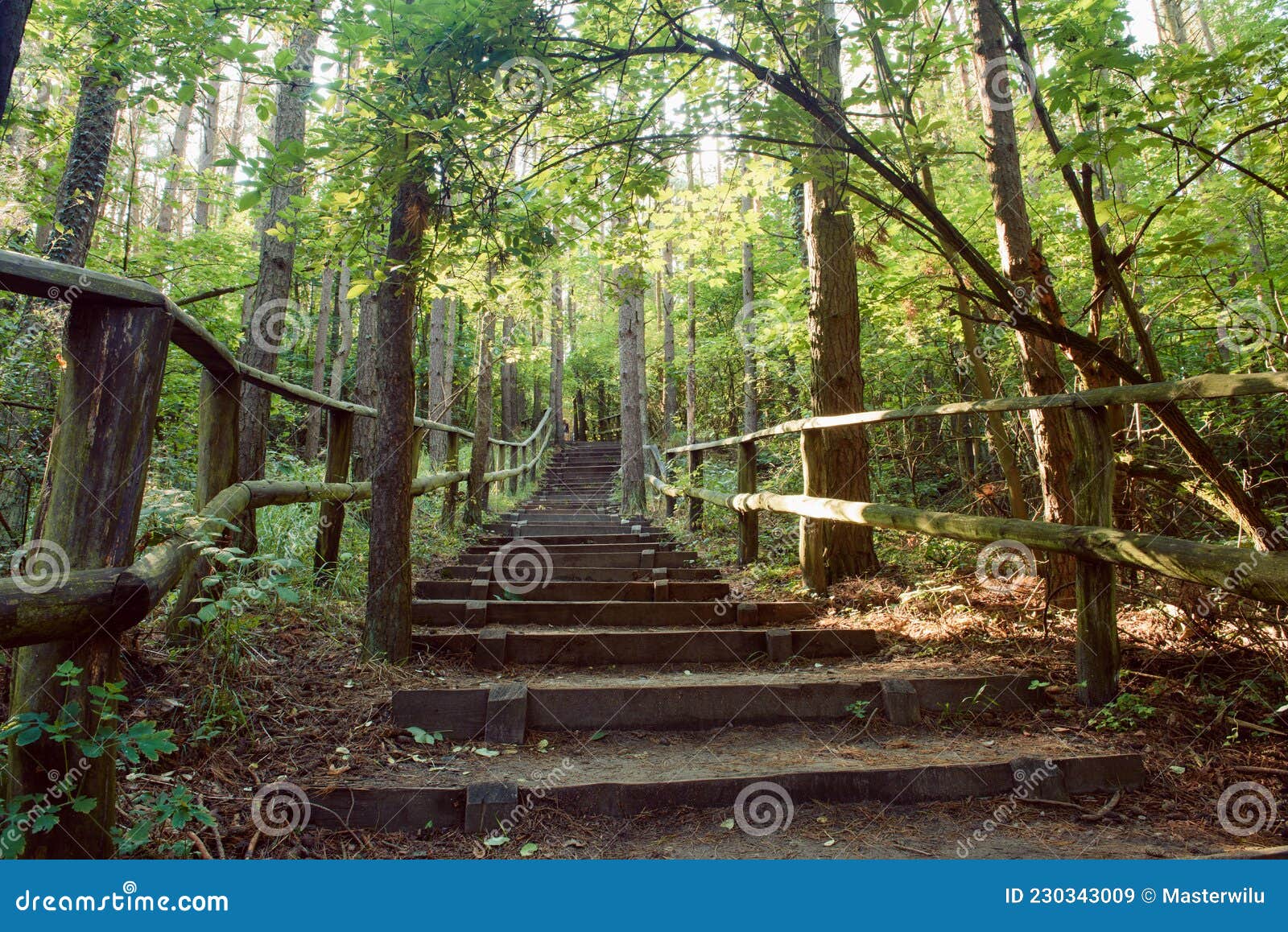 Pathway in Green Forest during Spring Time. Blurred People Walking in ...