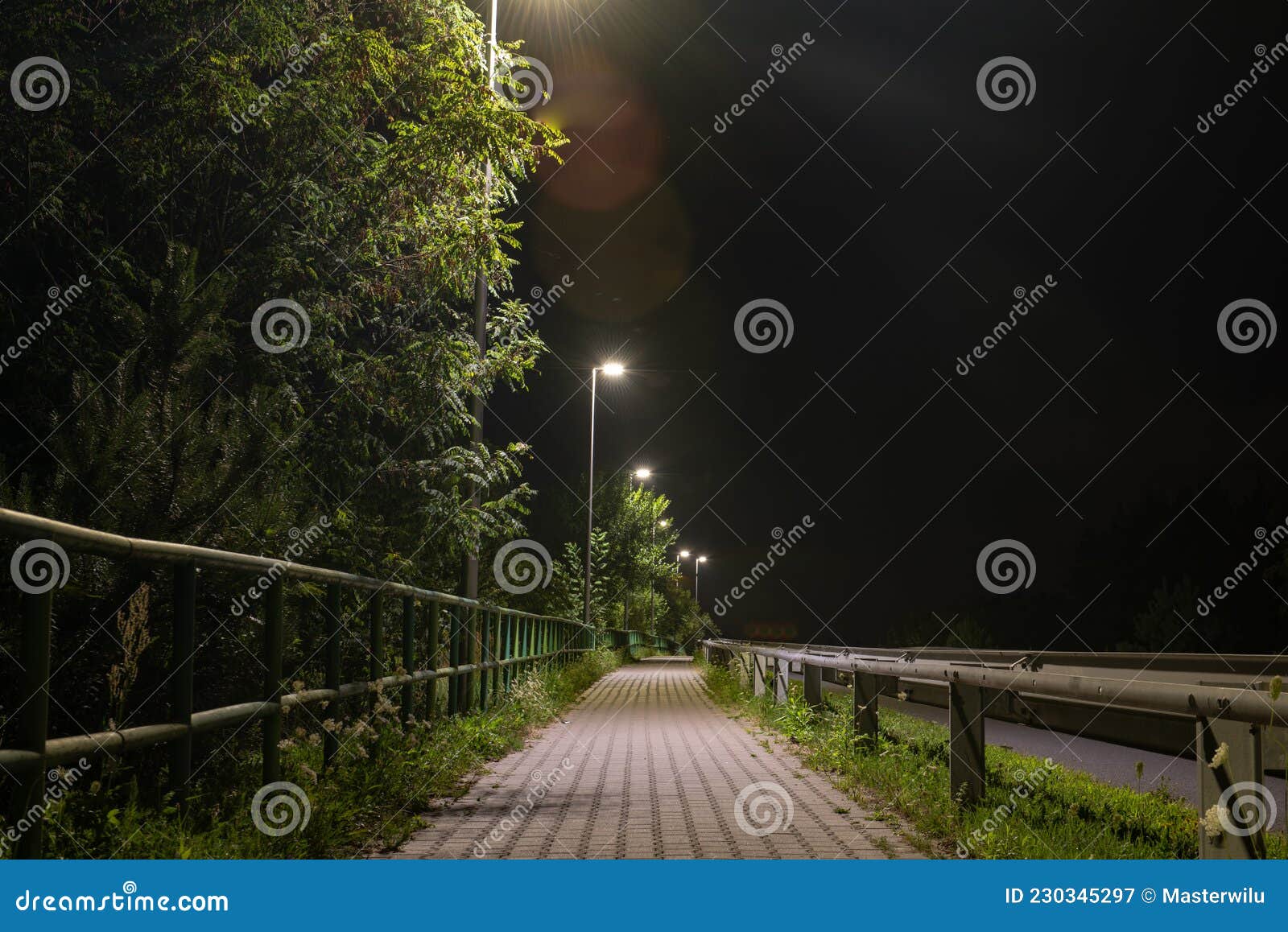 Pathway in Green Forest during Spring Time. Blurred People Walking in ...
