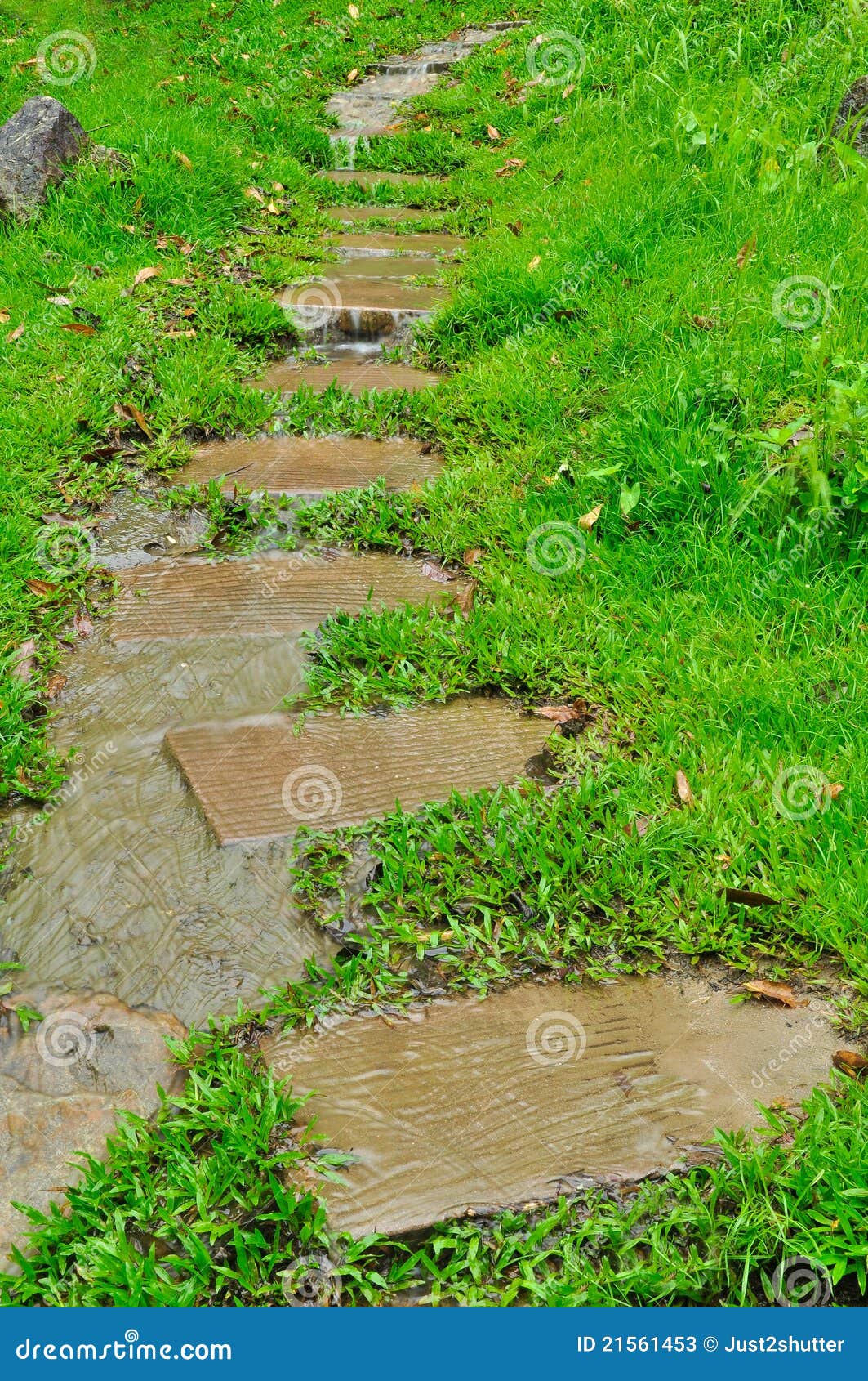 Pathway in a green garden stock image. Image of landscaping - 21561453