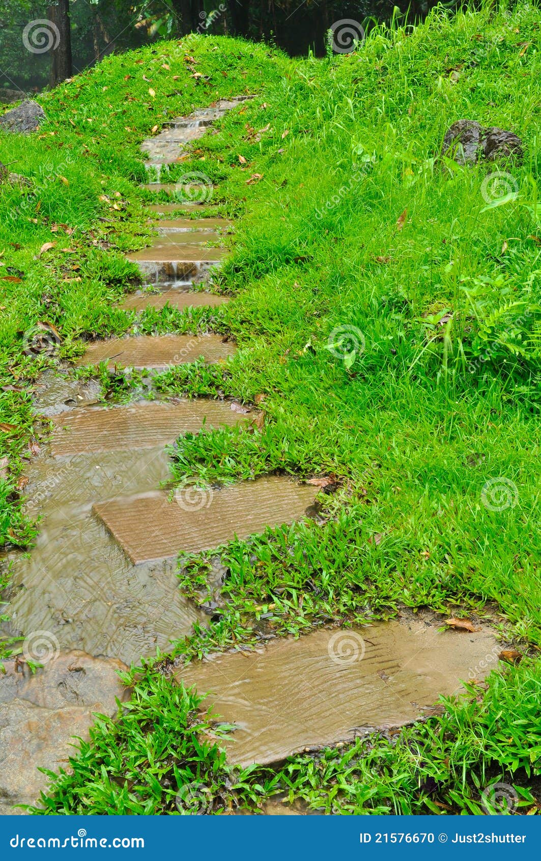 Pathway in a green garden stock photo. Image of abstract - 21576670