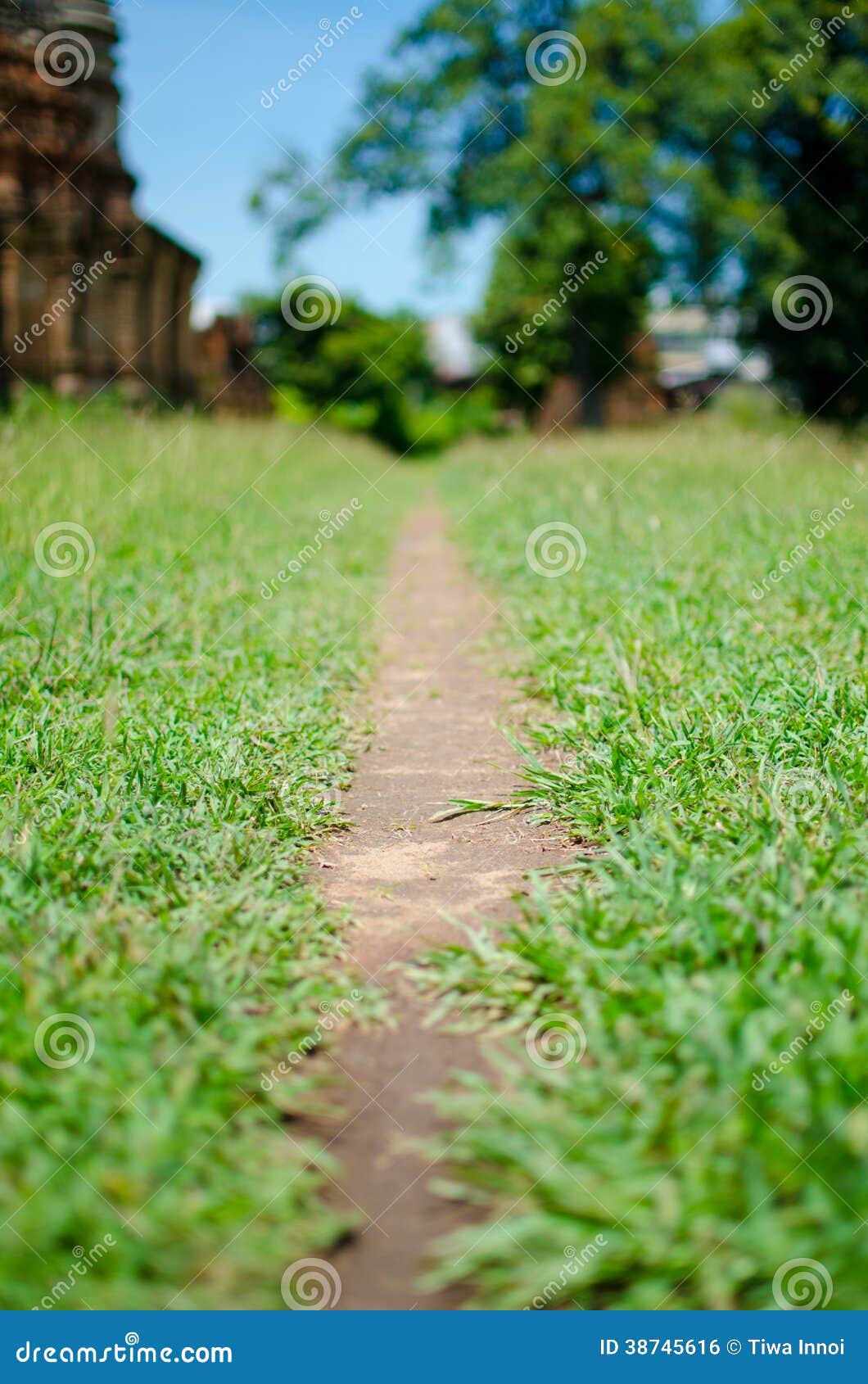 Pathway stock photo. Image of soil, summer, beautiful - 38745616