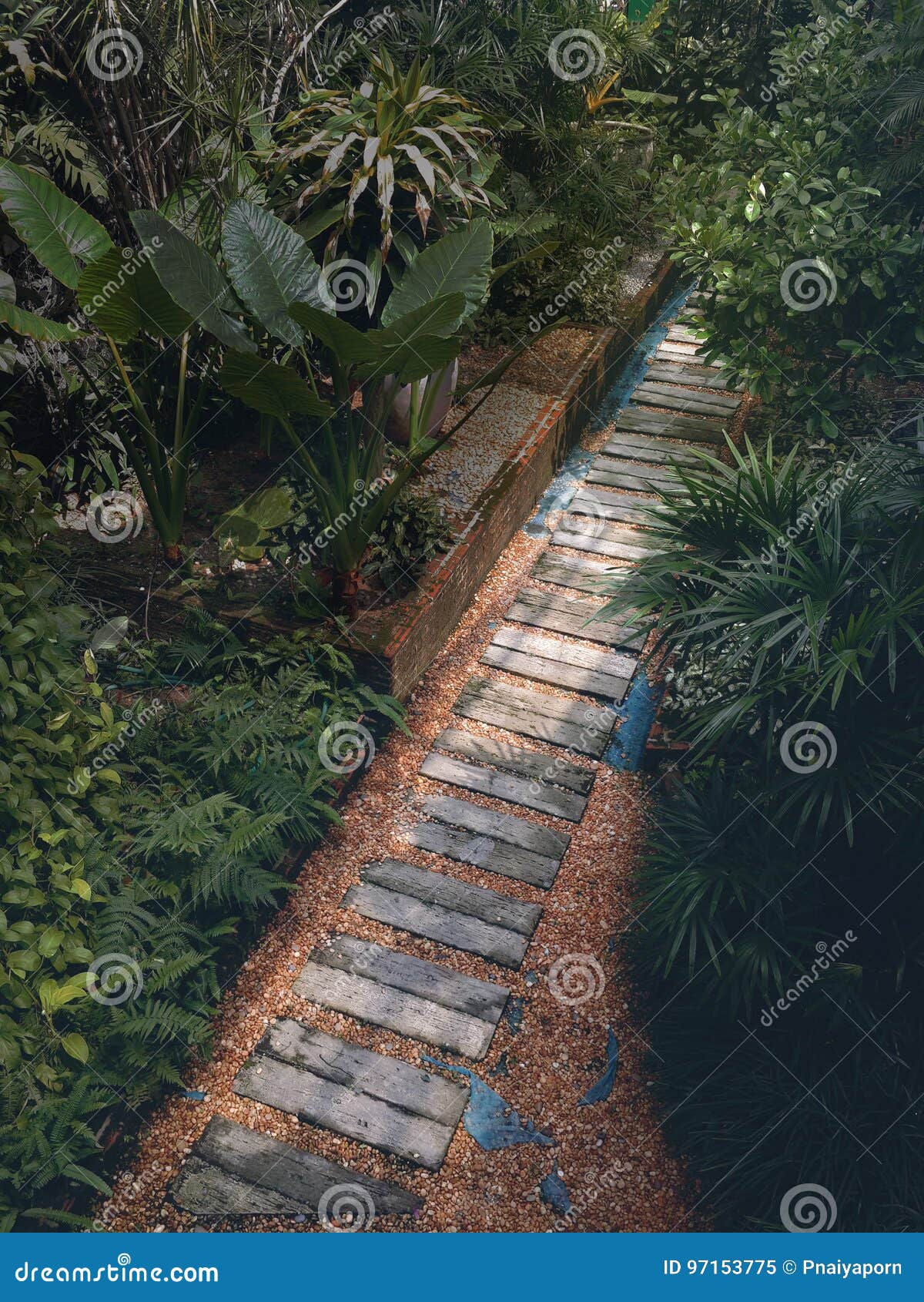 Pathway in green garden stock image. Image of walk, park - 97153775