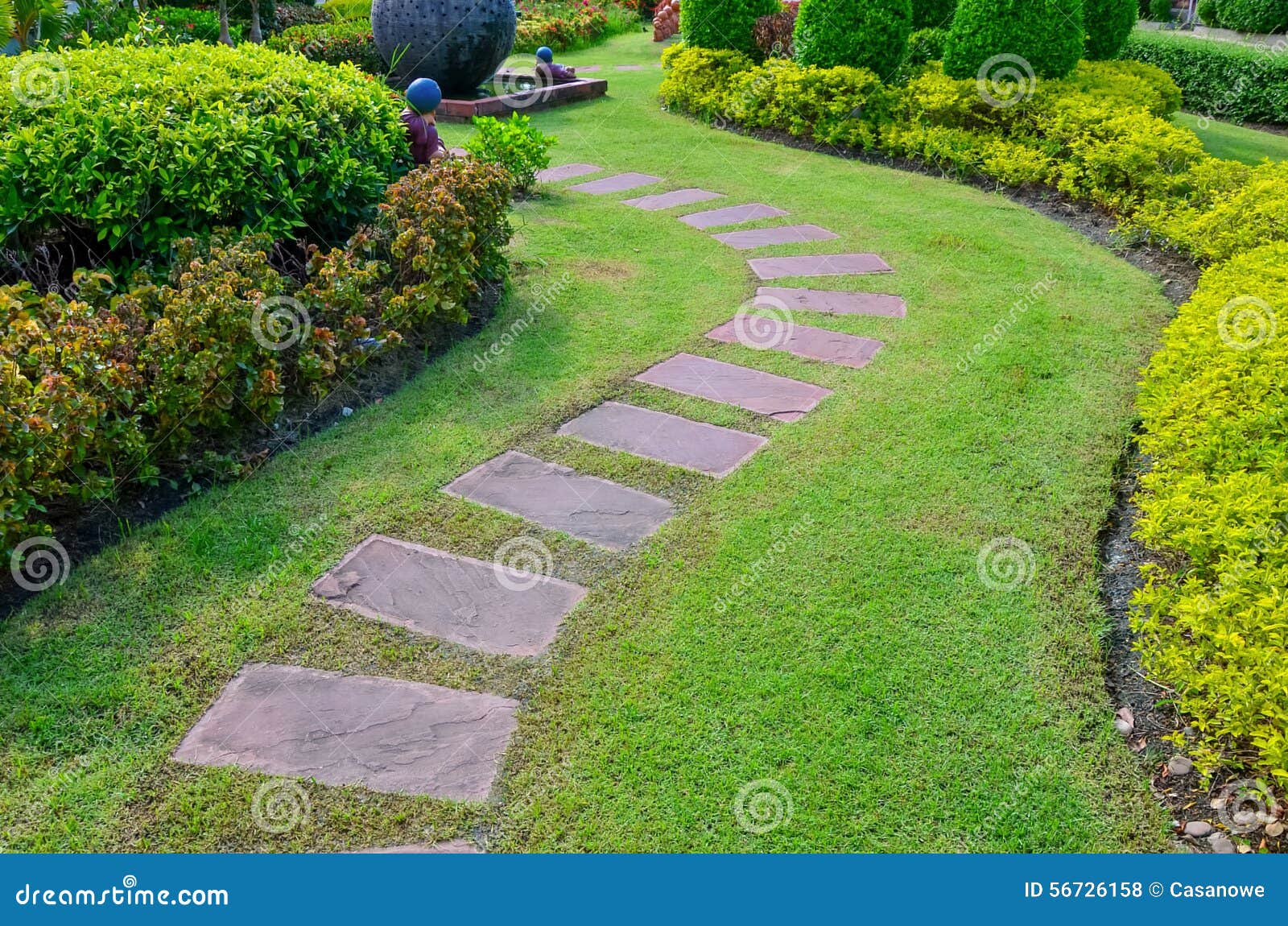 Pathway with Green Grass in Garden Stock Photo - Image of backyard ...