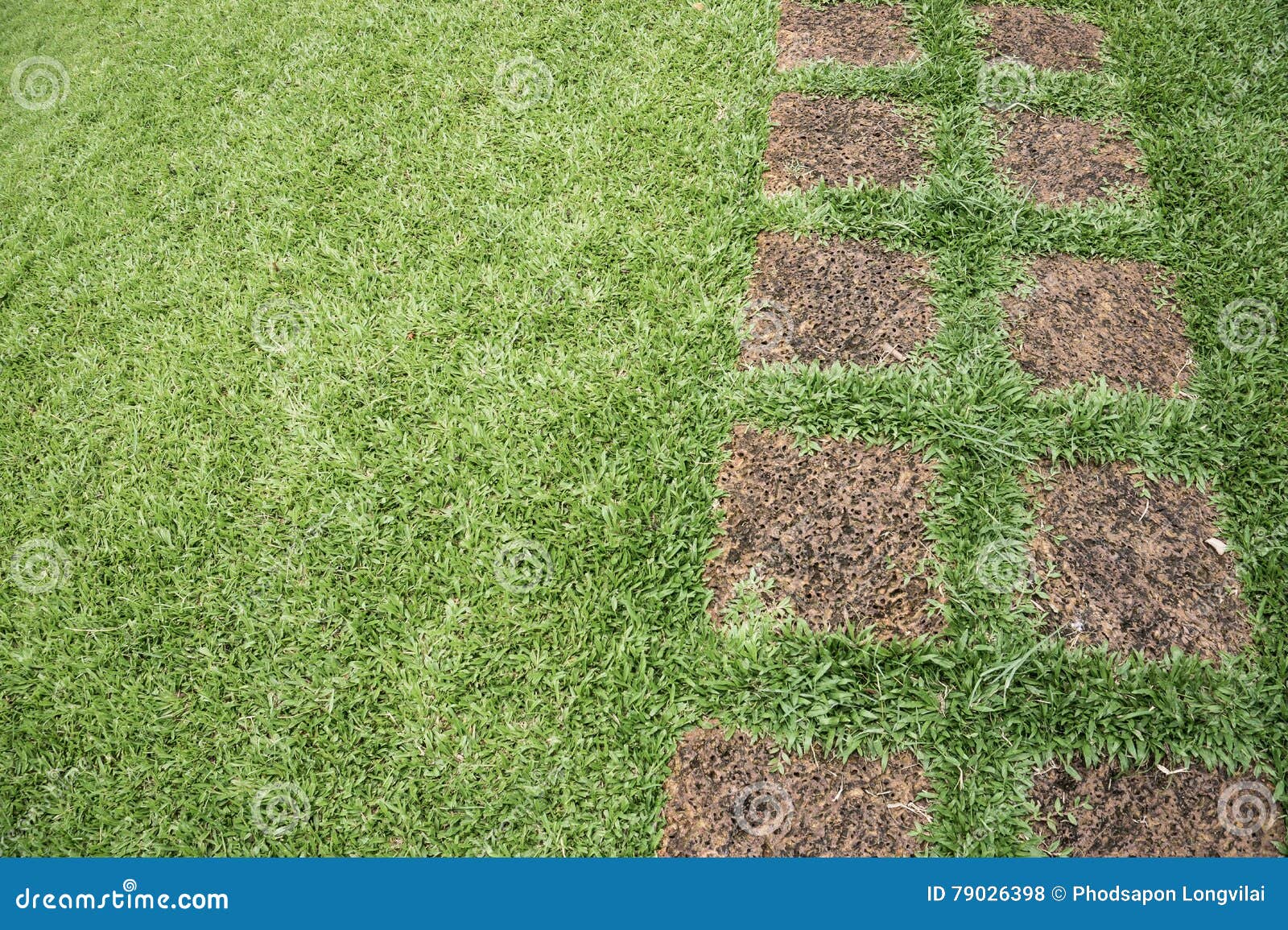 Pathway in the Green Grass Garden Stock Photo - Image of goal, lawn ...