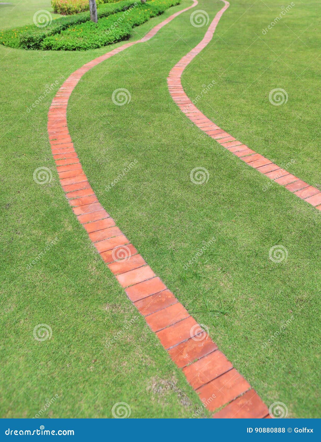 Pathway through green lawn stock photo. Image of curve - 90880888